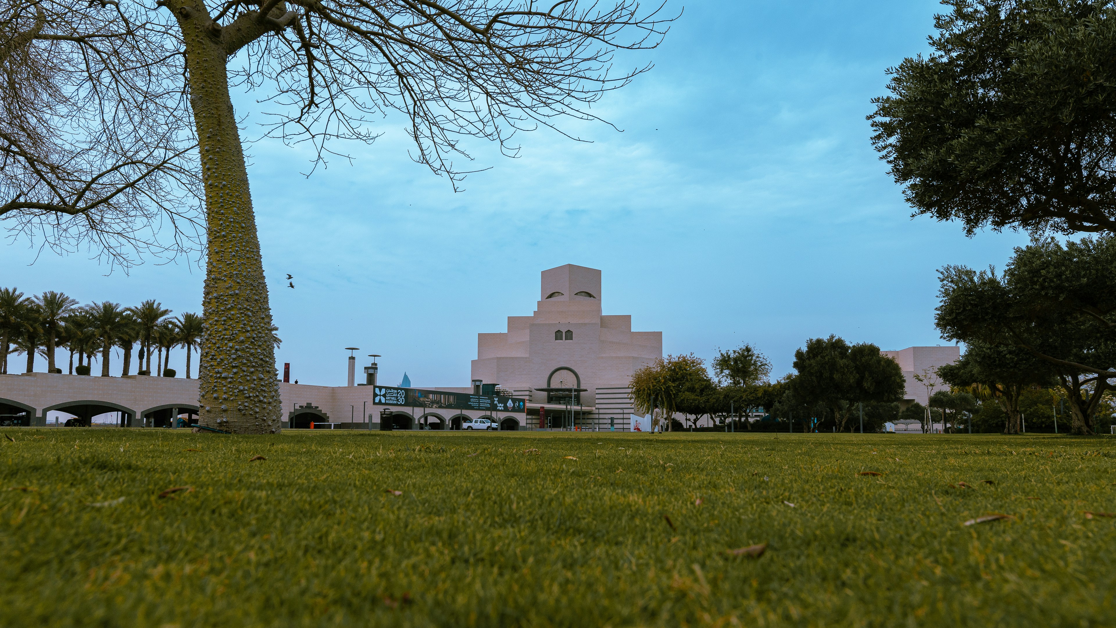 Photo by Ron Baron with Canon EOS 6D Mark II