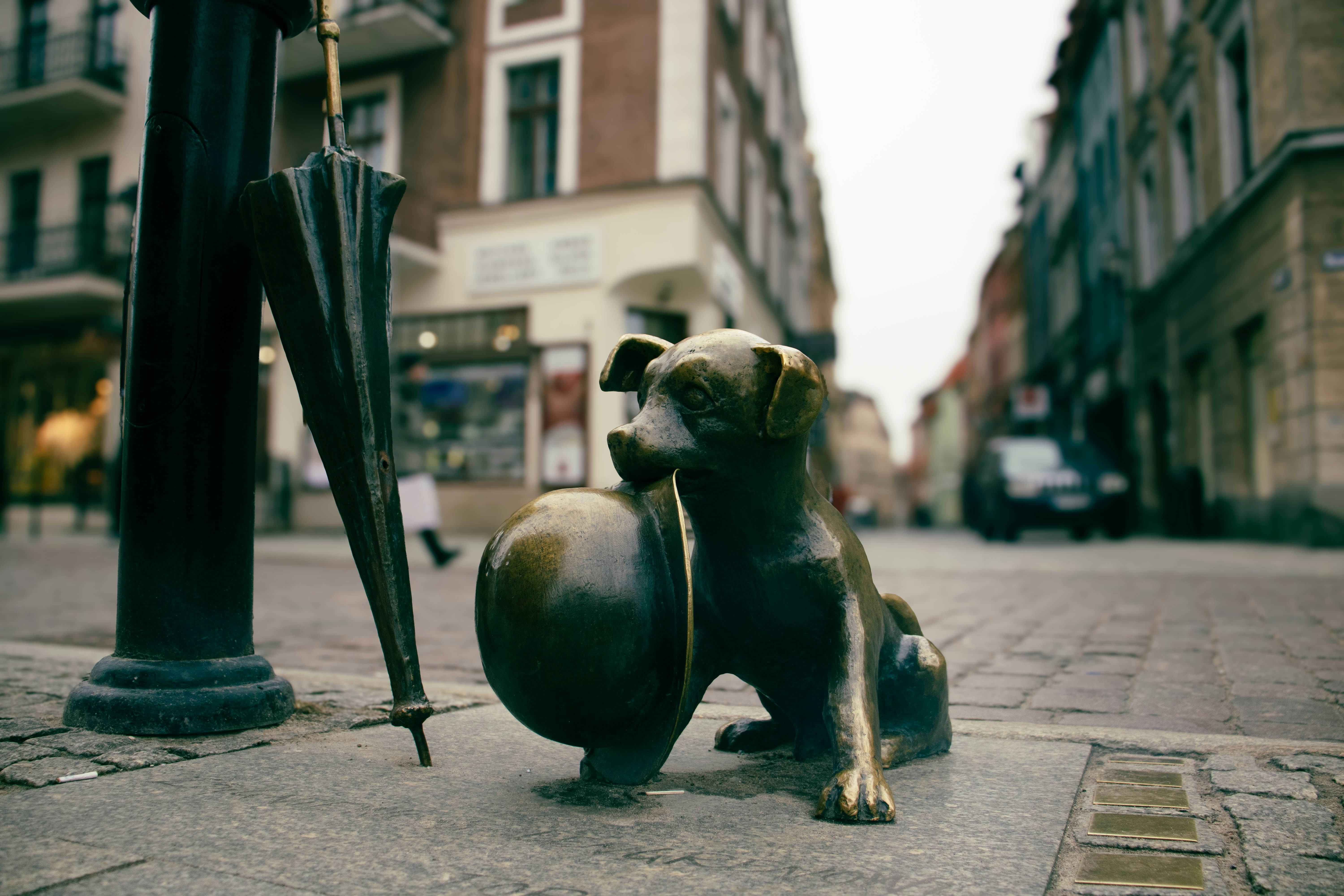 Bronze Street Pup with Ball Anchoring a Cobblestone Corner