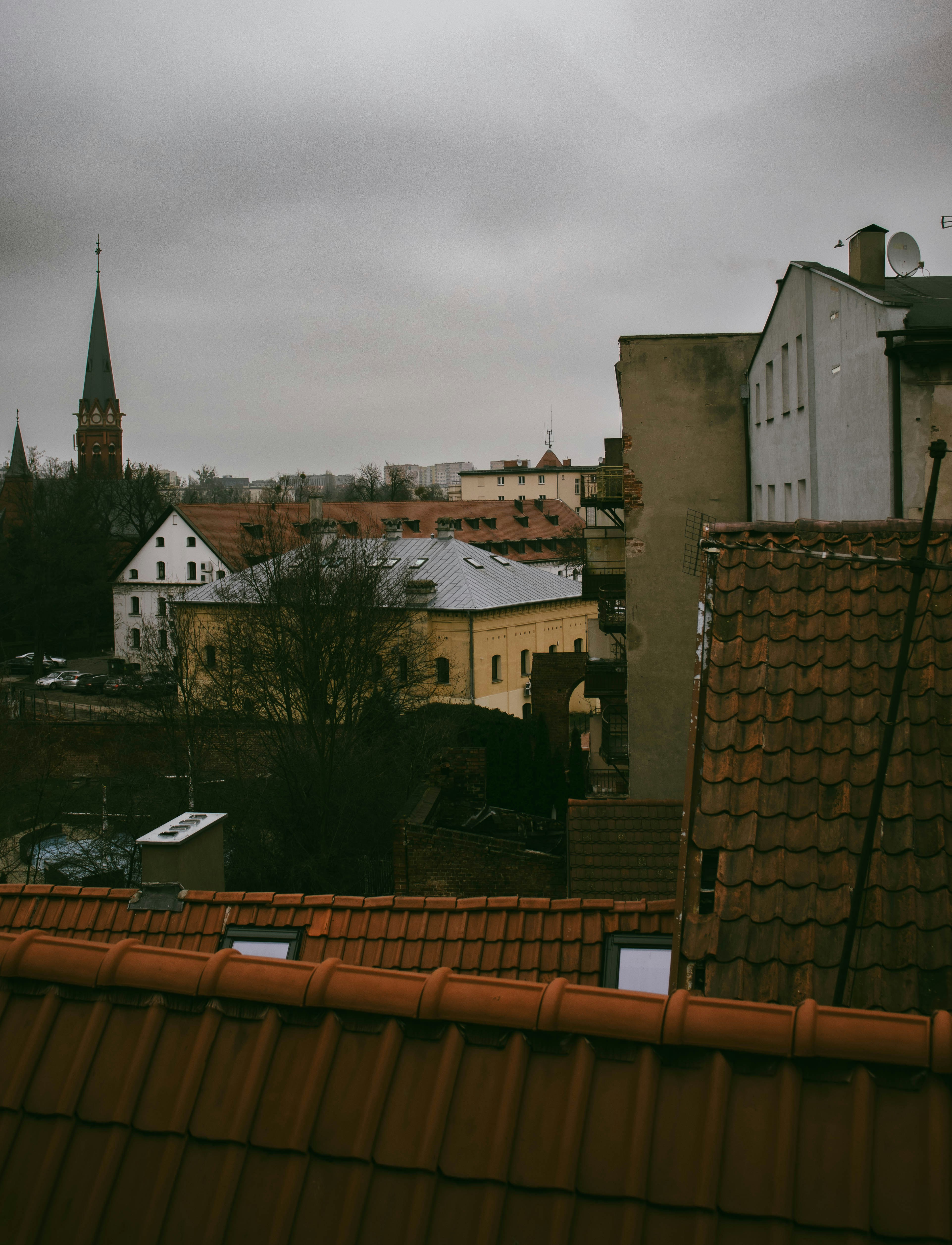 A view of a city from the roof of a building photo – Free Car Image on ...