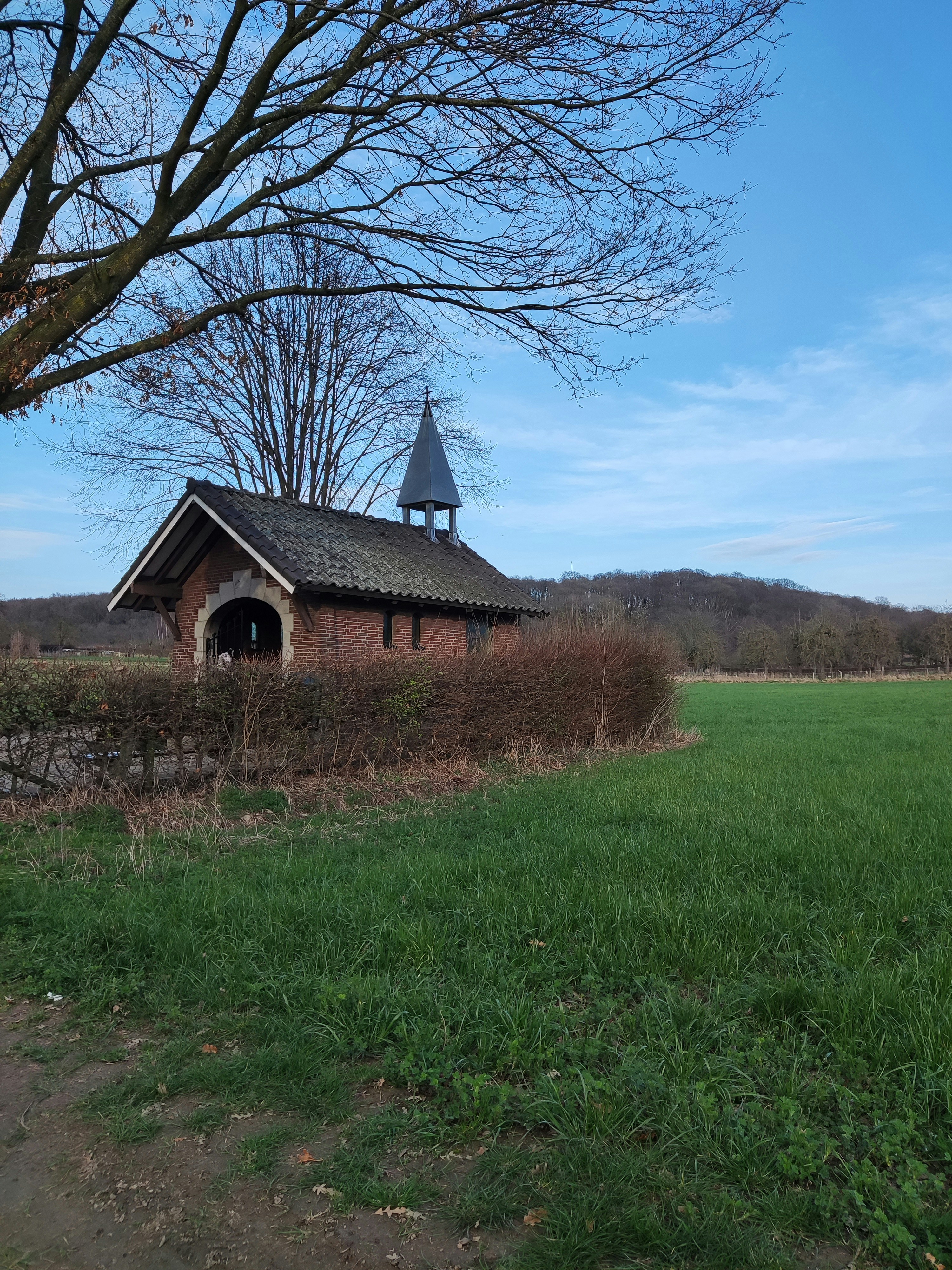 Brick-roofed pavilion with a small steeple sits beside hedges in a green field under a clear blue sky.