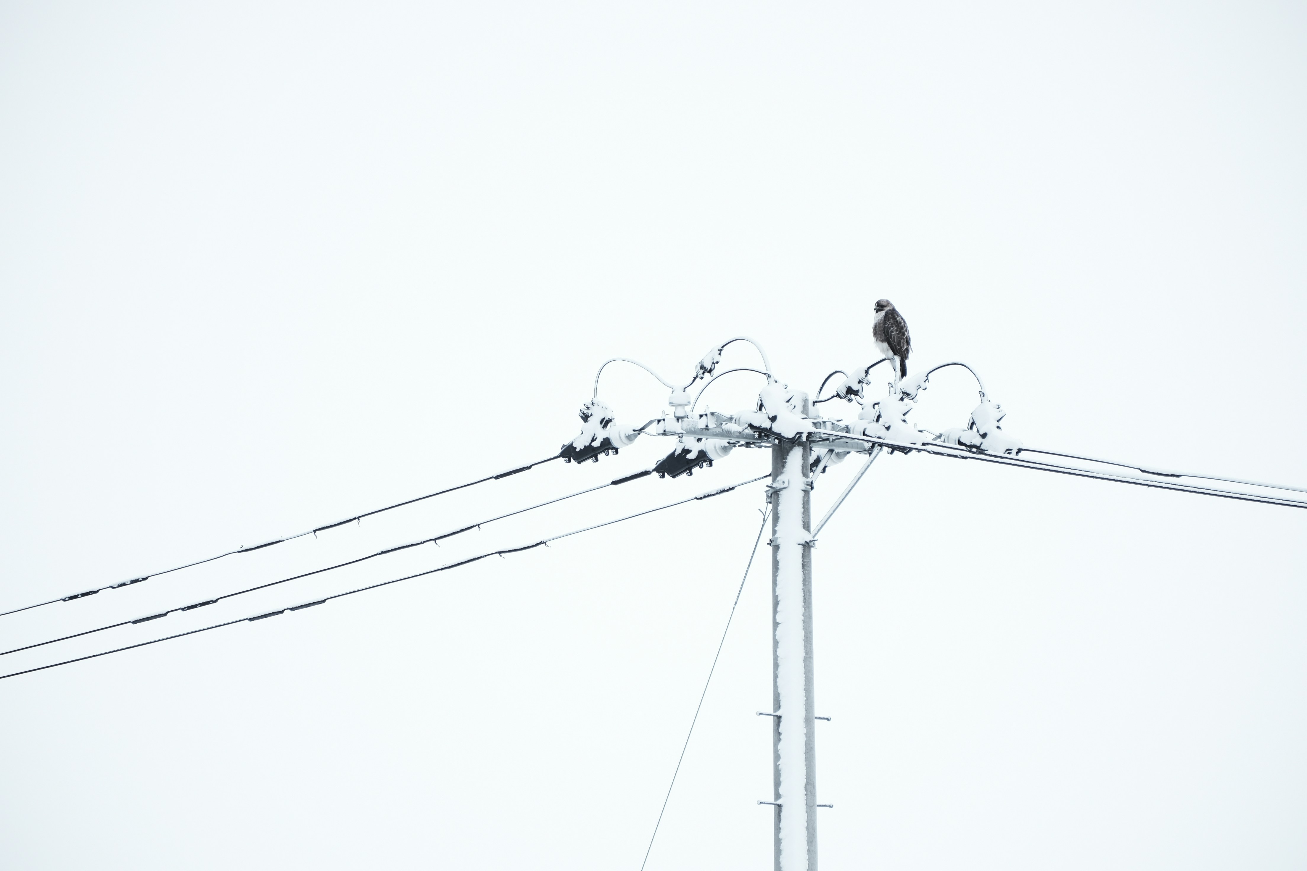 Photo by Seiya Maeda with Fujifilm X-H2S