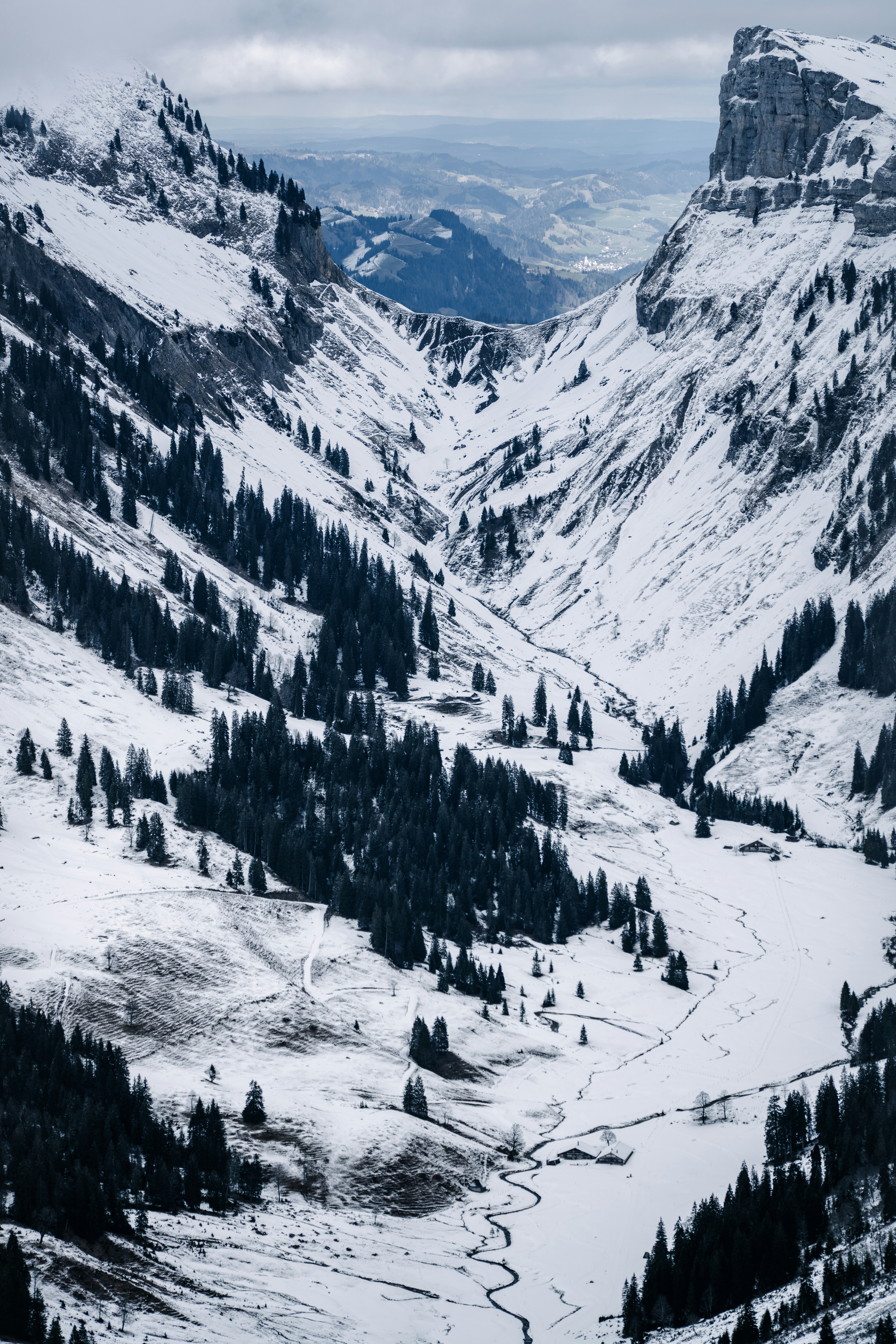 Snowbound Vein: A Winding Trail Through a Snow-Draped Alpine Valley
