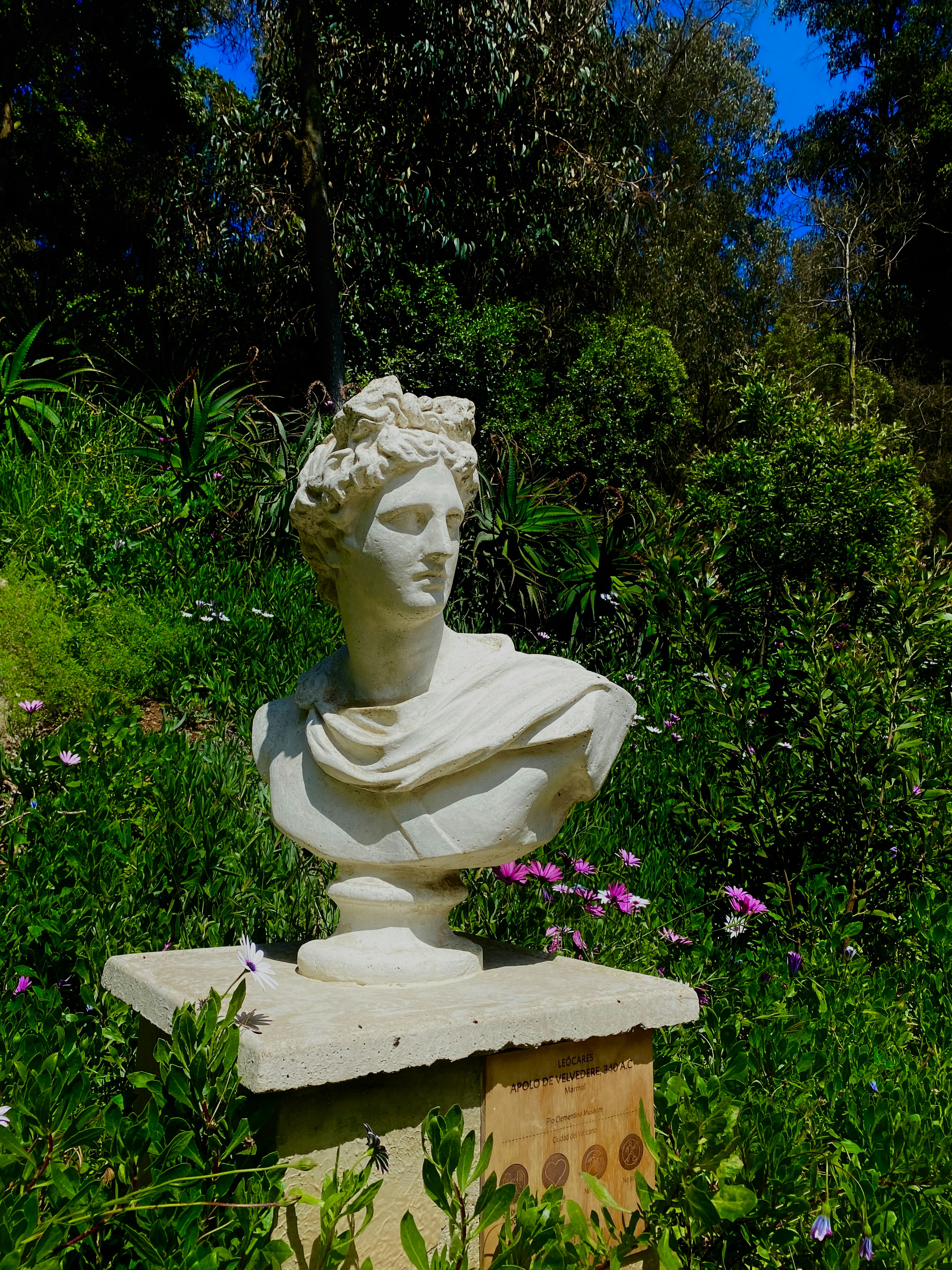 Sunlit Marble Muse: Bust Amid Garden Wildflowers