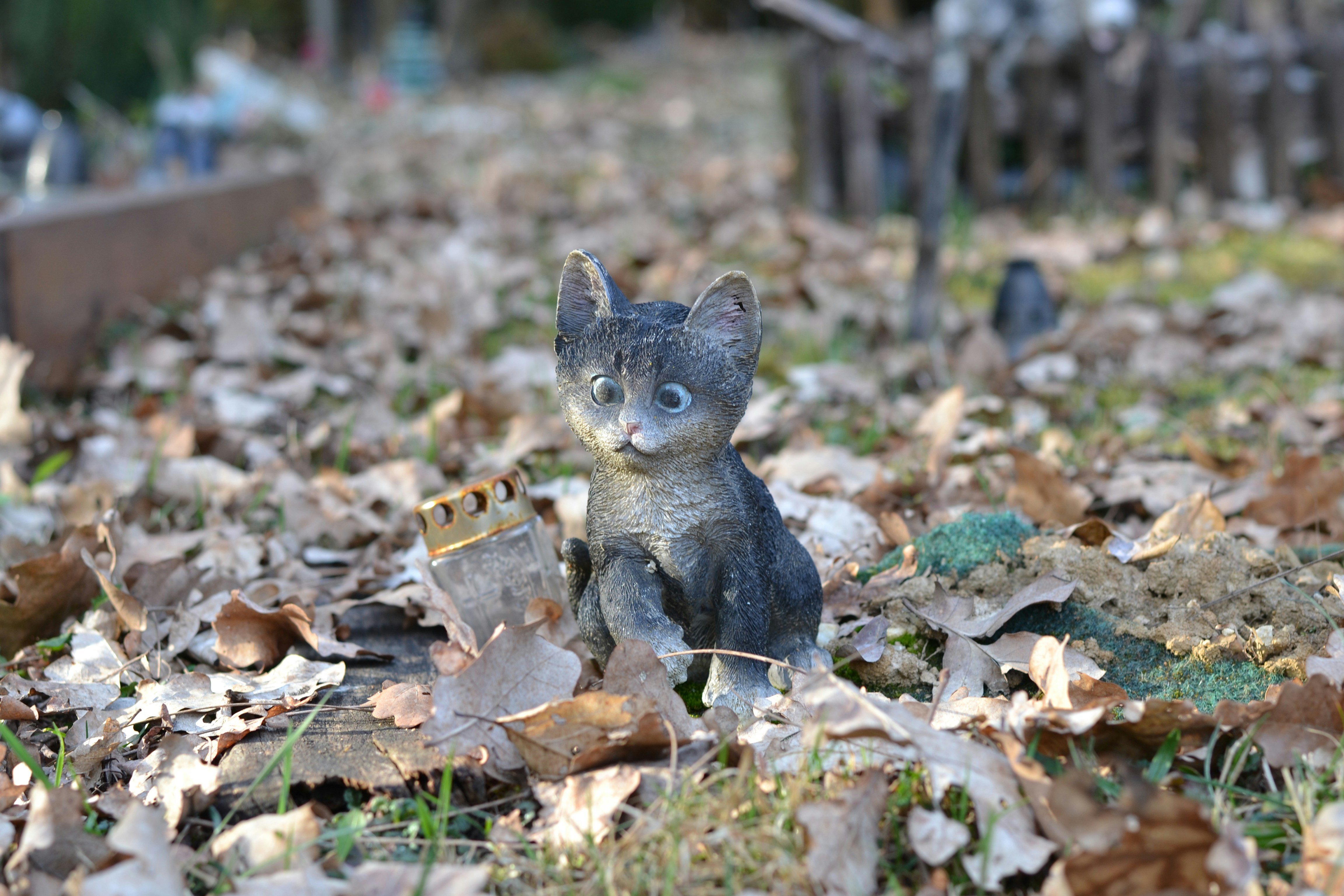 Curious Kitten Sculpture Quietly Watches from the Fallen Leaves