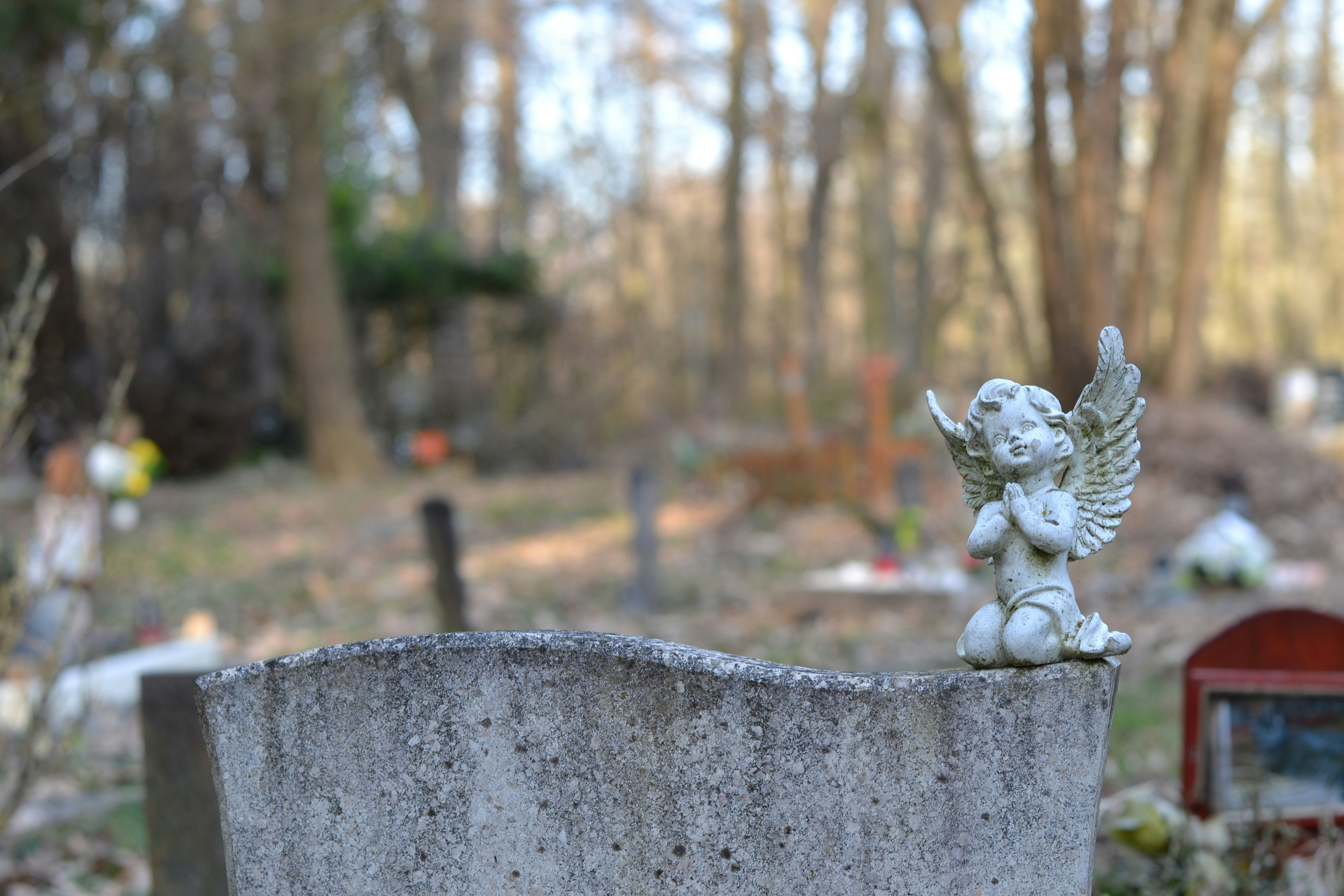 A serene angel statue perched on a gravestone, surrounded by a tranquil cemetery landscape. The soft focus on the background enhances the contemplative atmosphere.