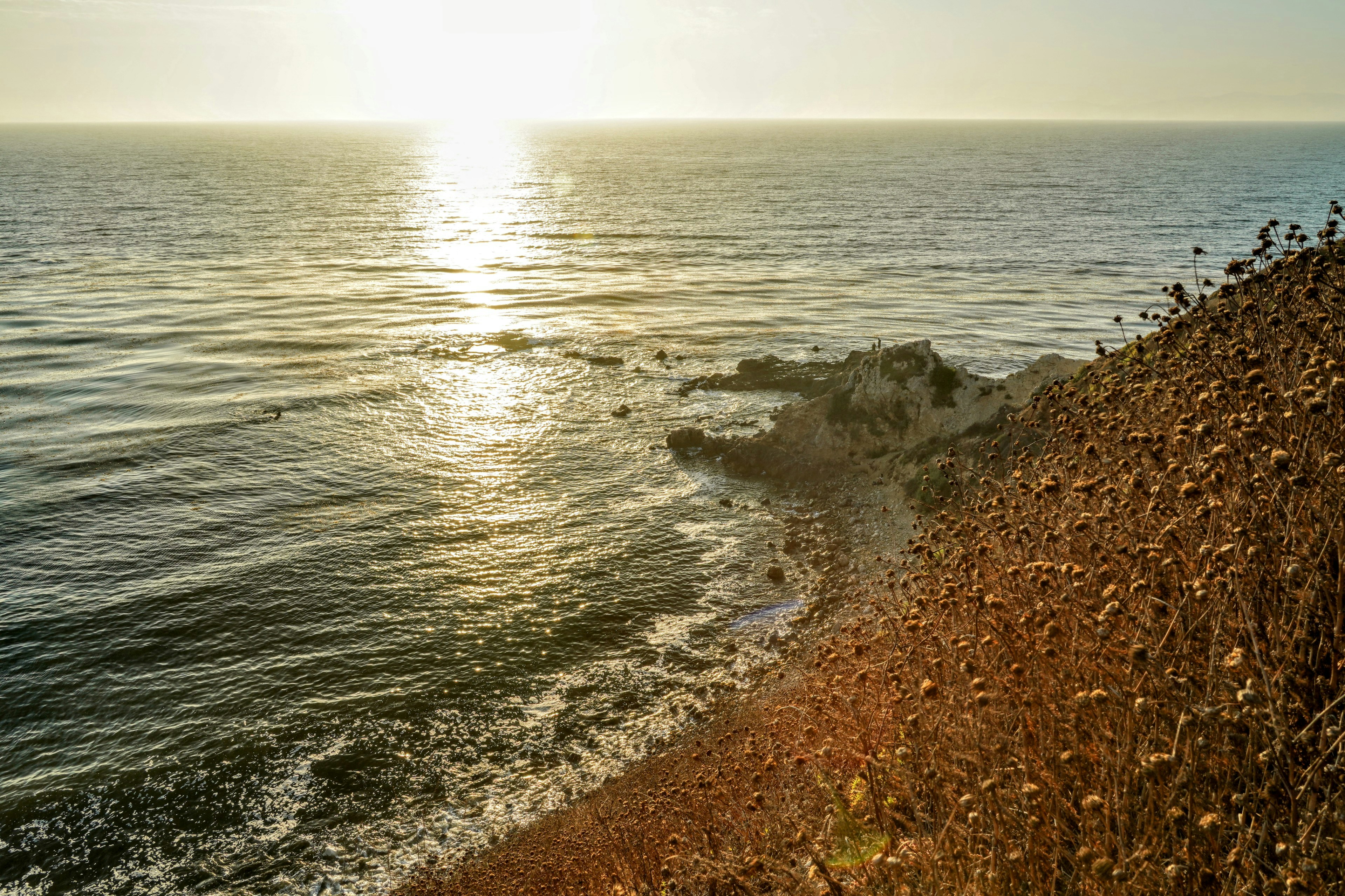 Sun setting over the ocean with waves crashing against rocky shoreline and sunlit tall grass.