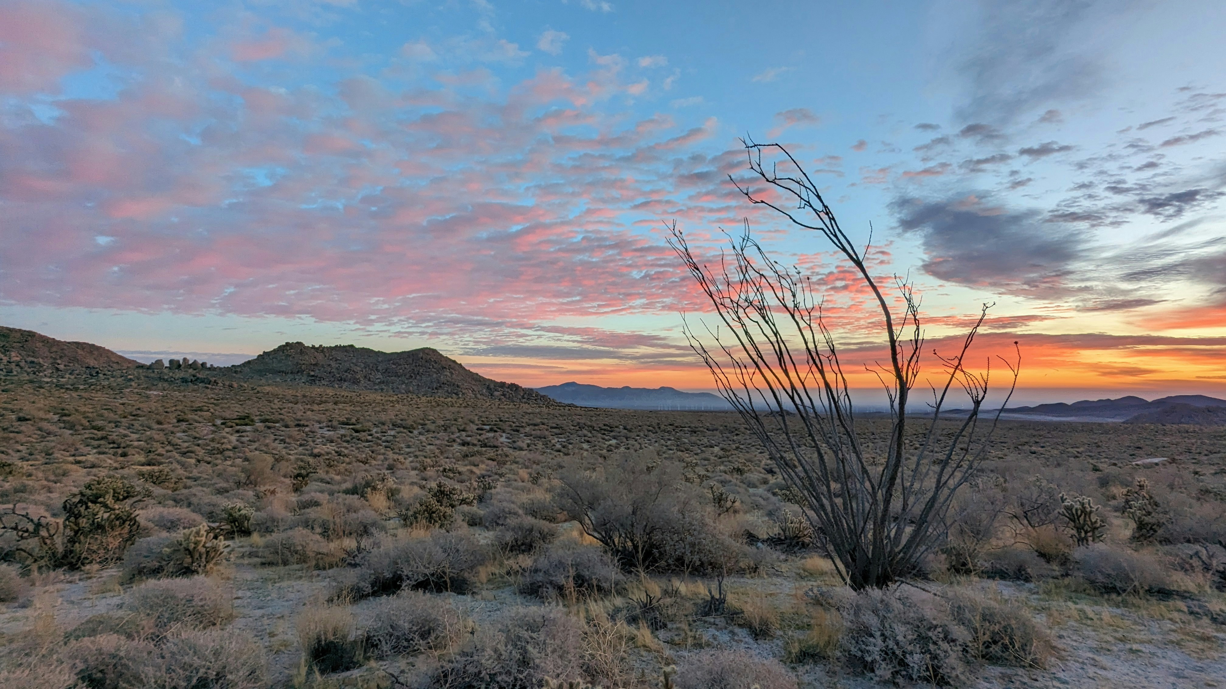 Whispers of the Desert at Dusk