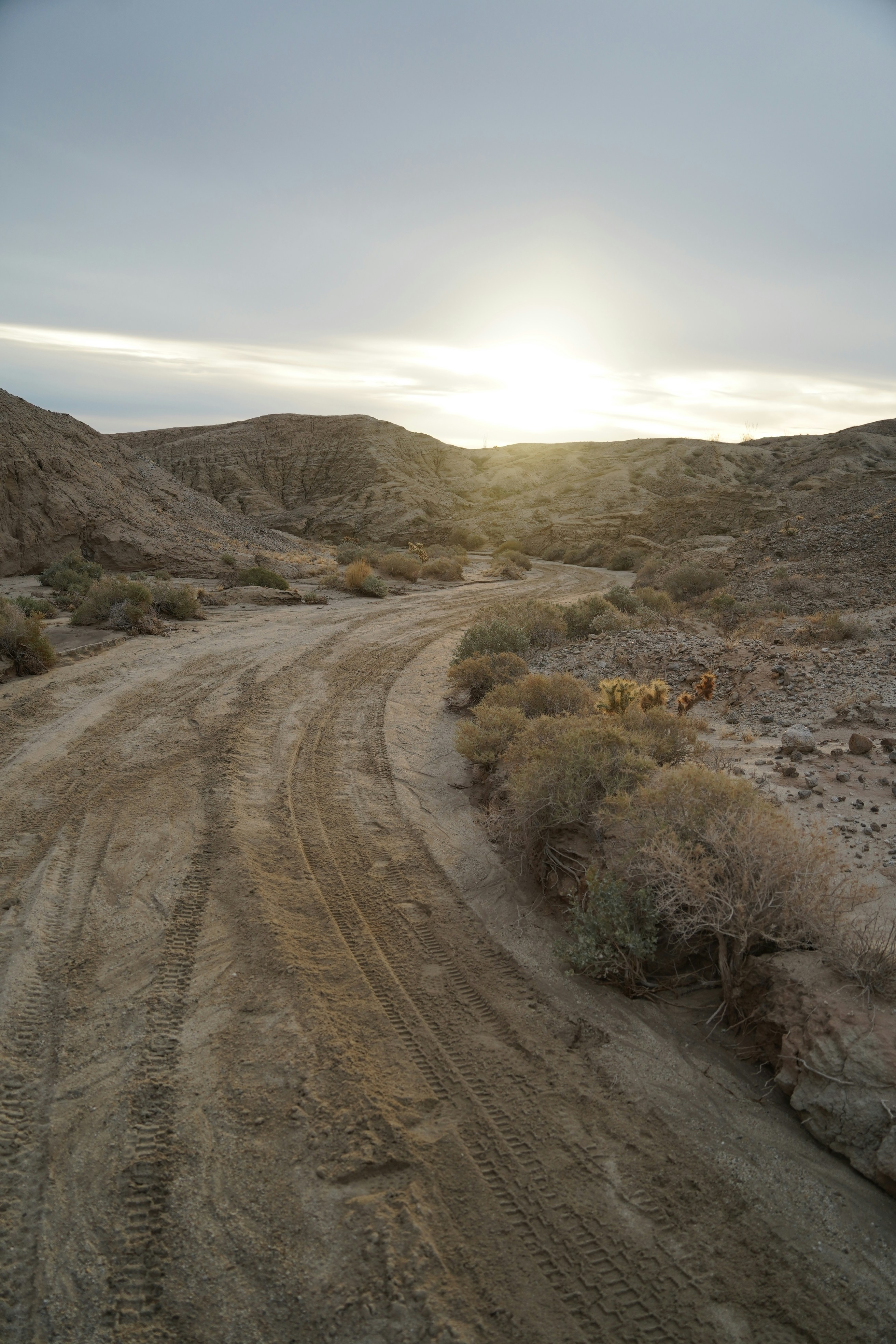 Dusty Road to the Sunset Wadi