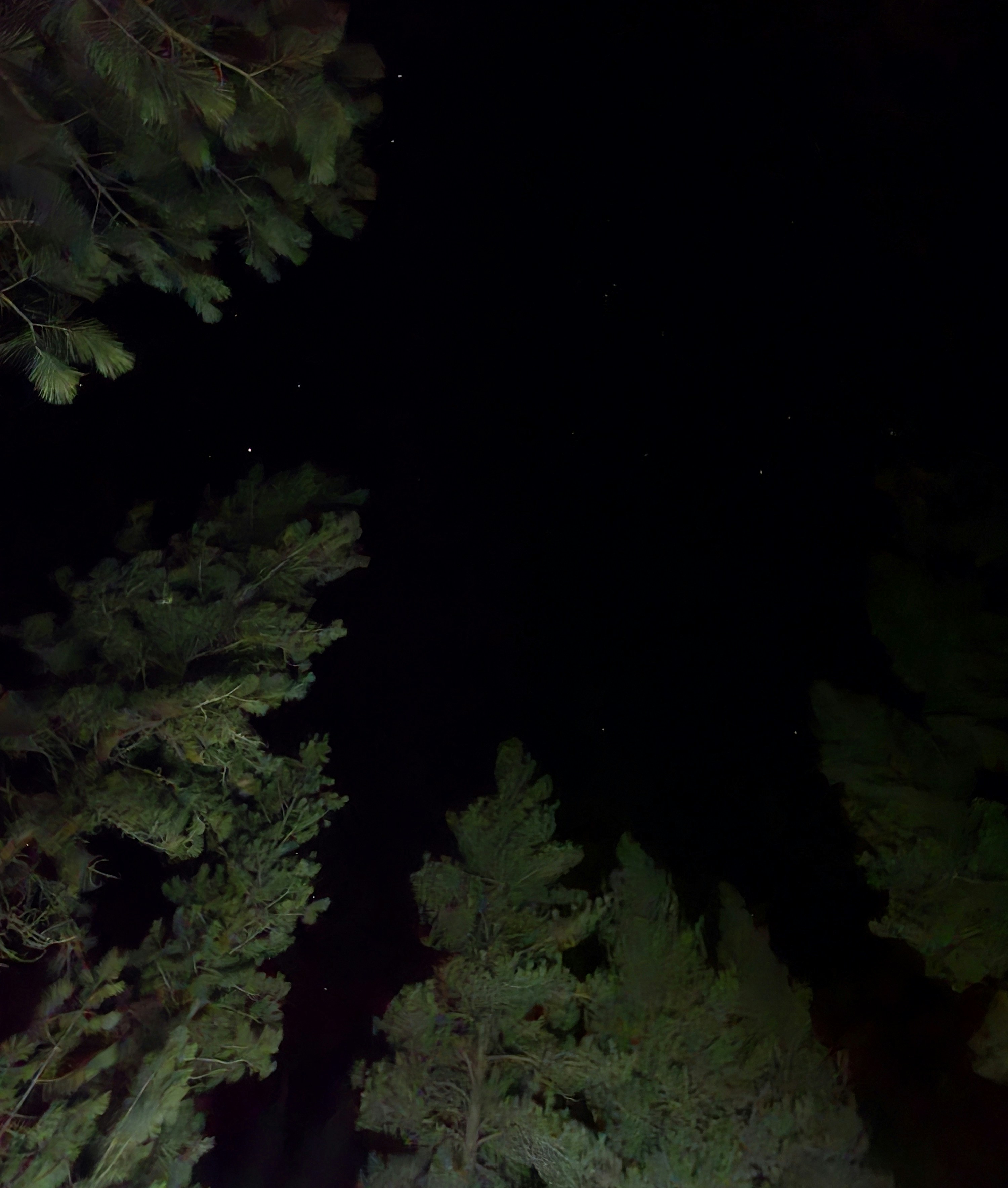 Photo by Eric RDG with Samsung Galaxy S24 Ultra