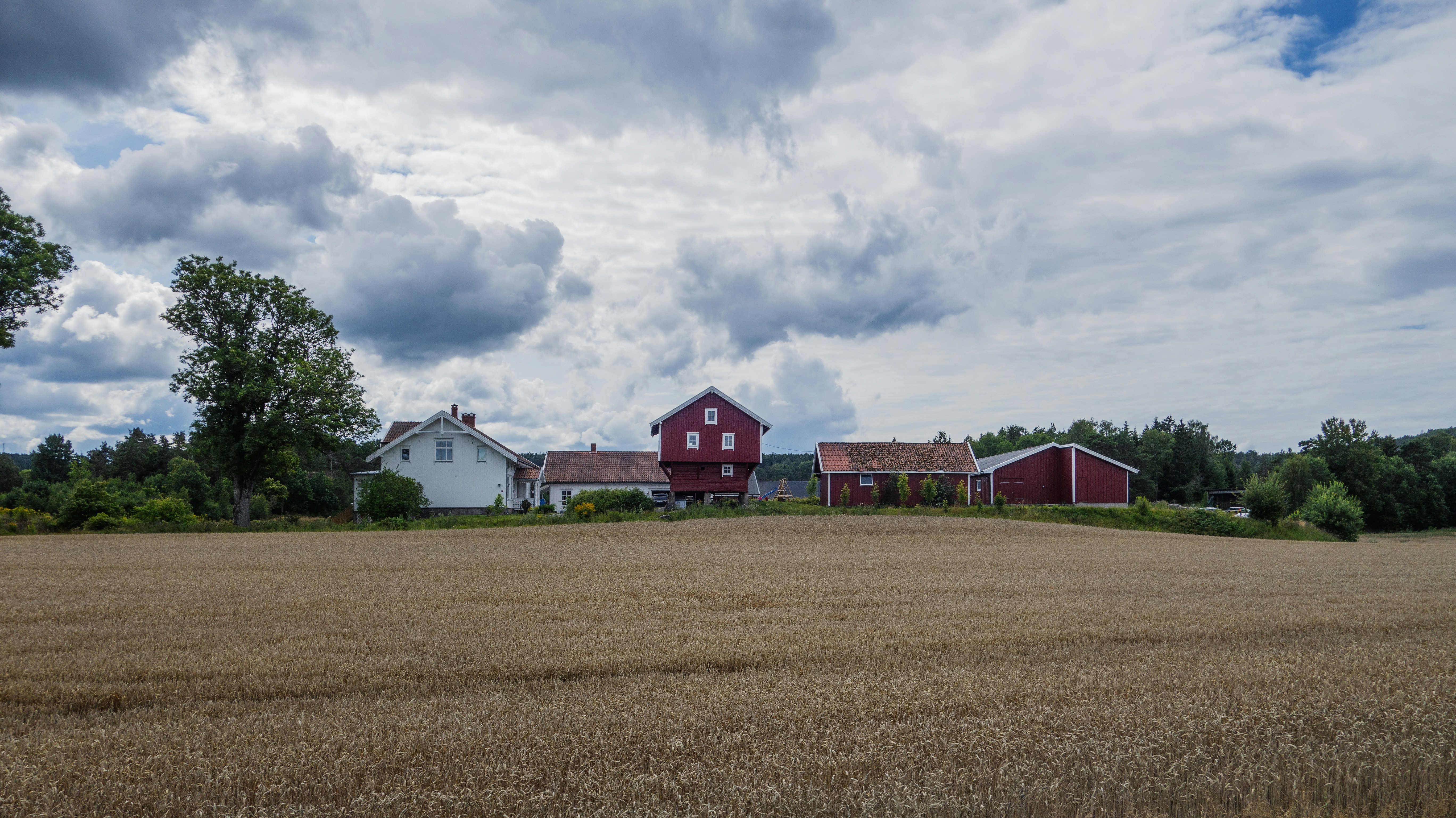Une ferme avec une grange rouge et deux bâtiments blancs photo – Image ...