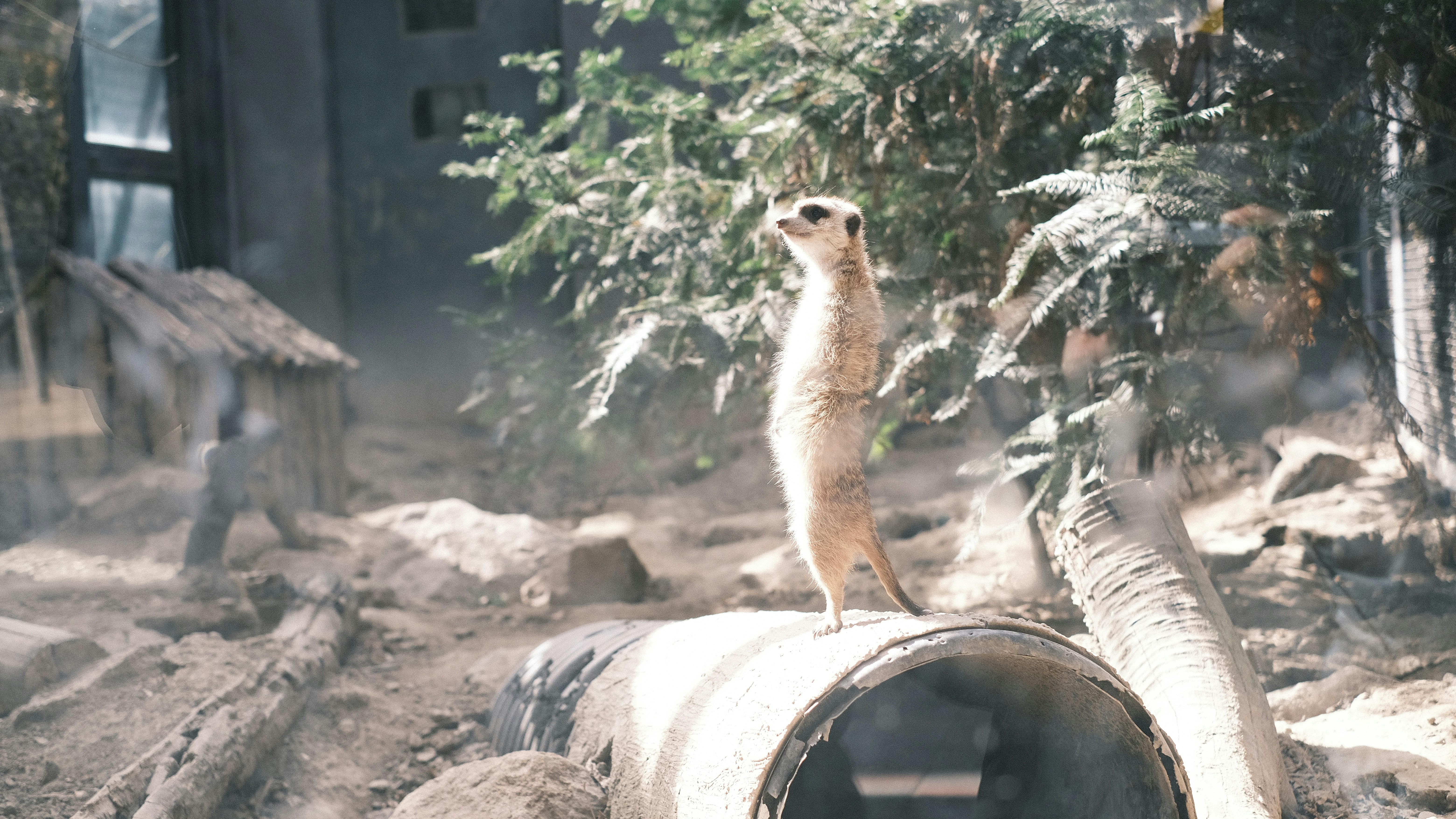 Photo by 昭 范 with Fujifilm X-E4