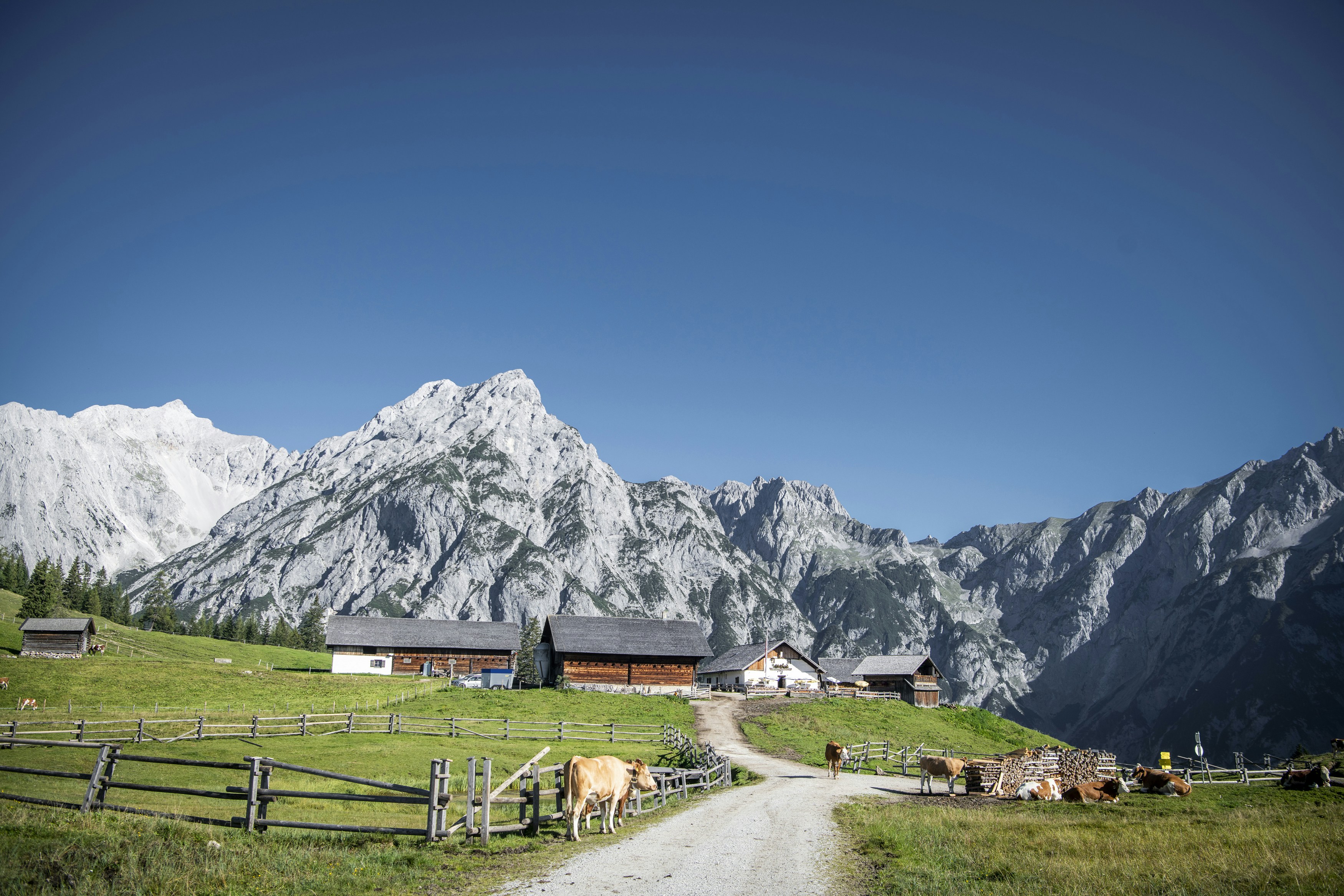 Dirt Road to an Alpine Farmstead Under Snow-Dusted Peaks