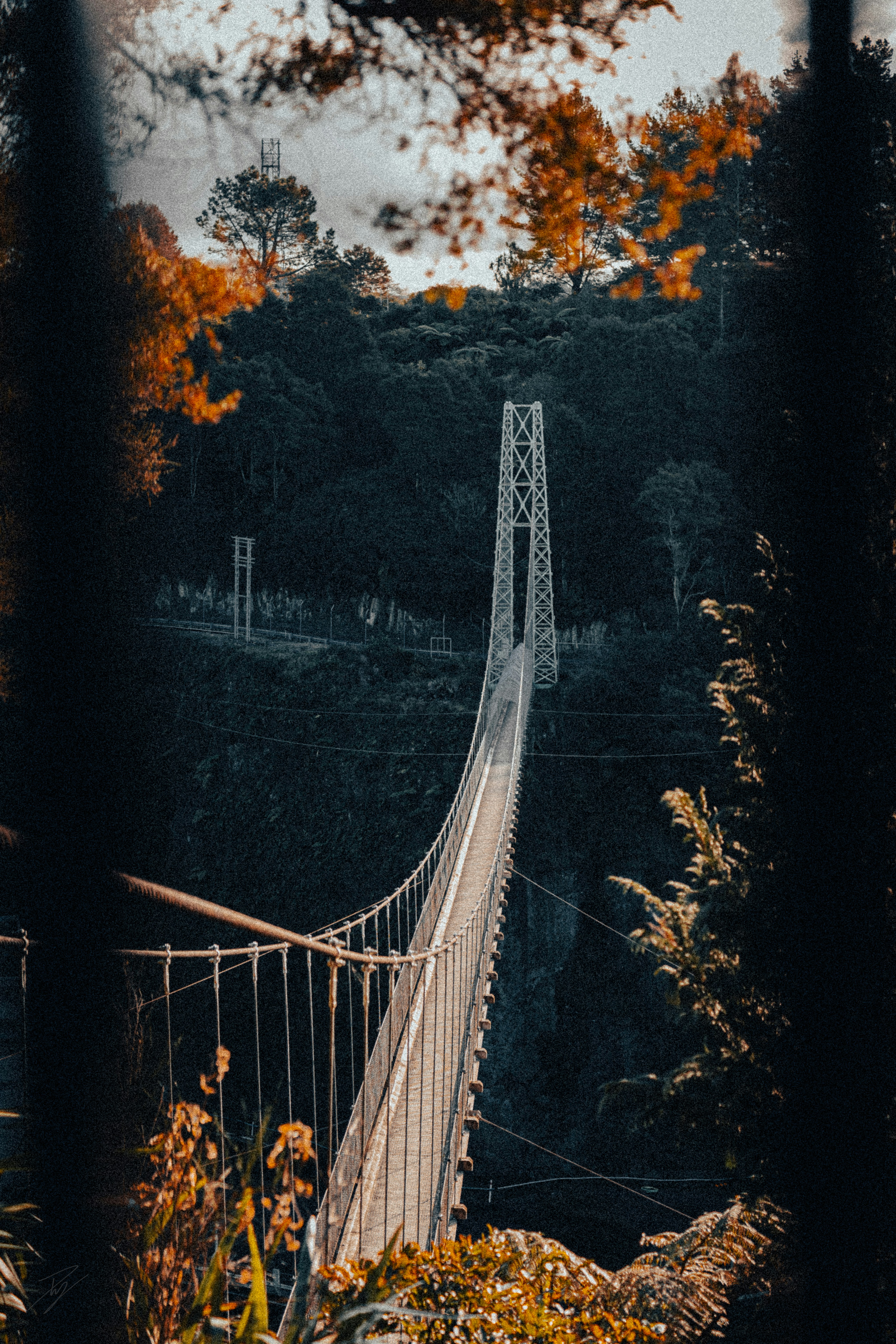 Suspended Vortex: A Narrow Cable Bridge Framed by Forest Corridors