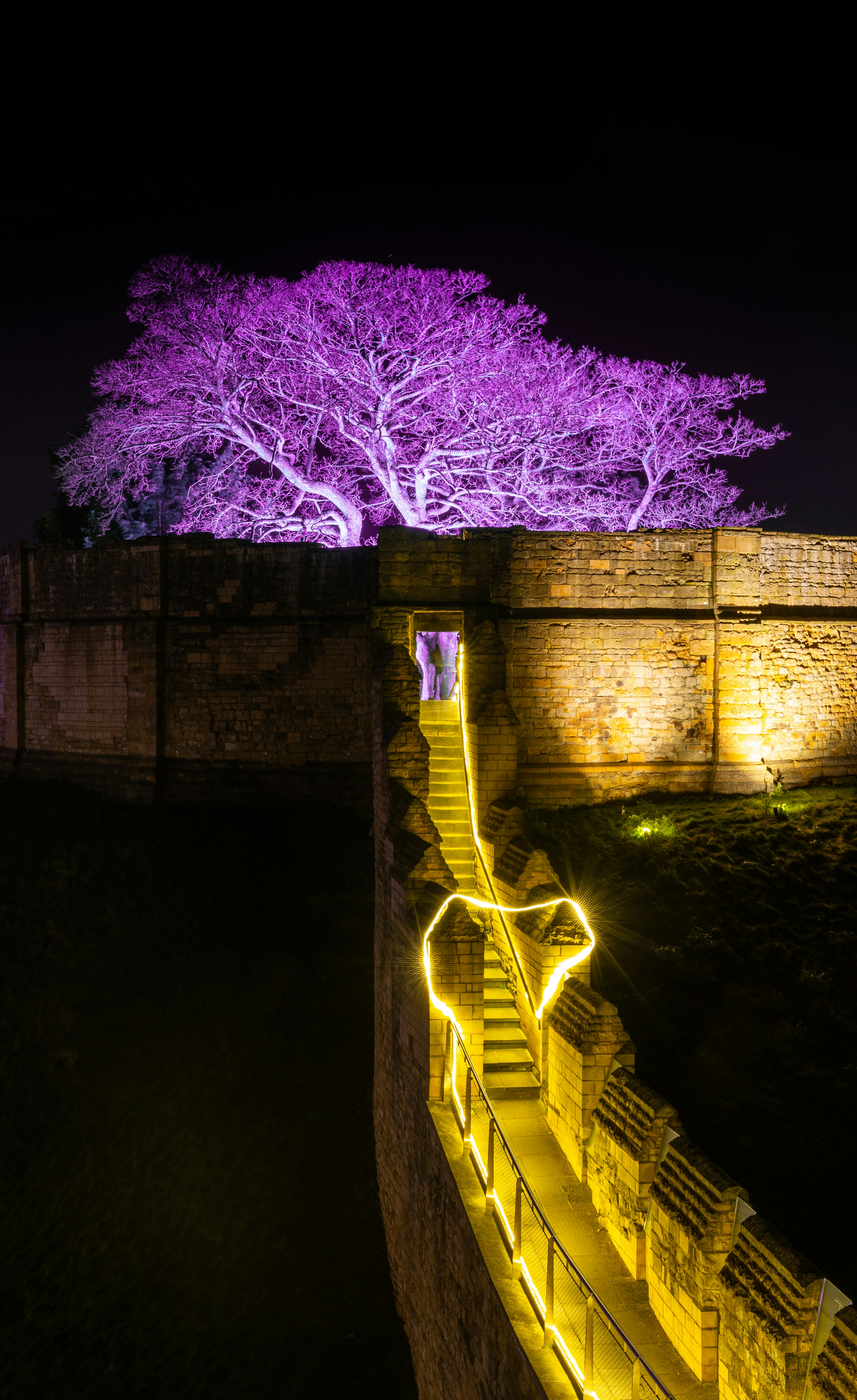 Staircase of Light Beneath a Violet Tree on a Historic Fortress