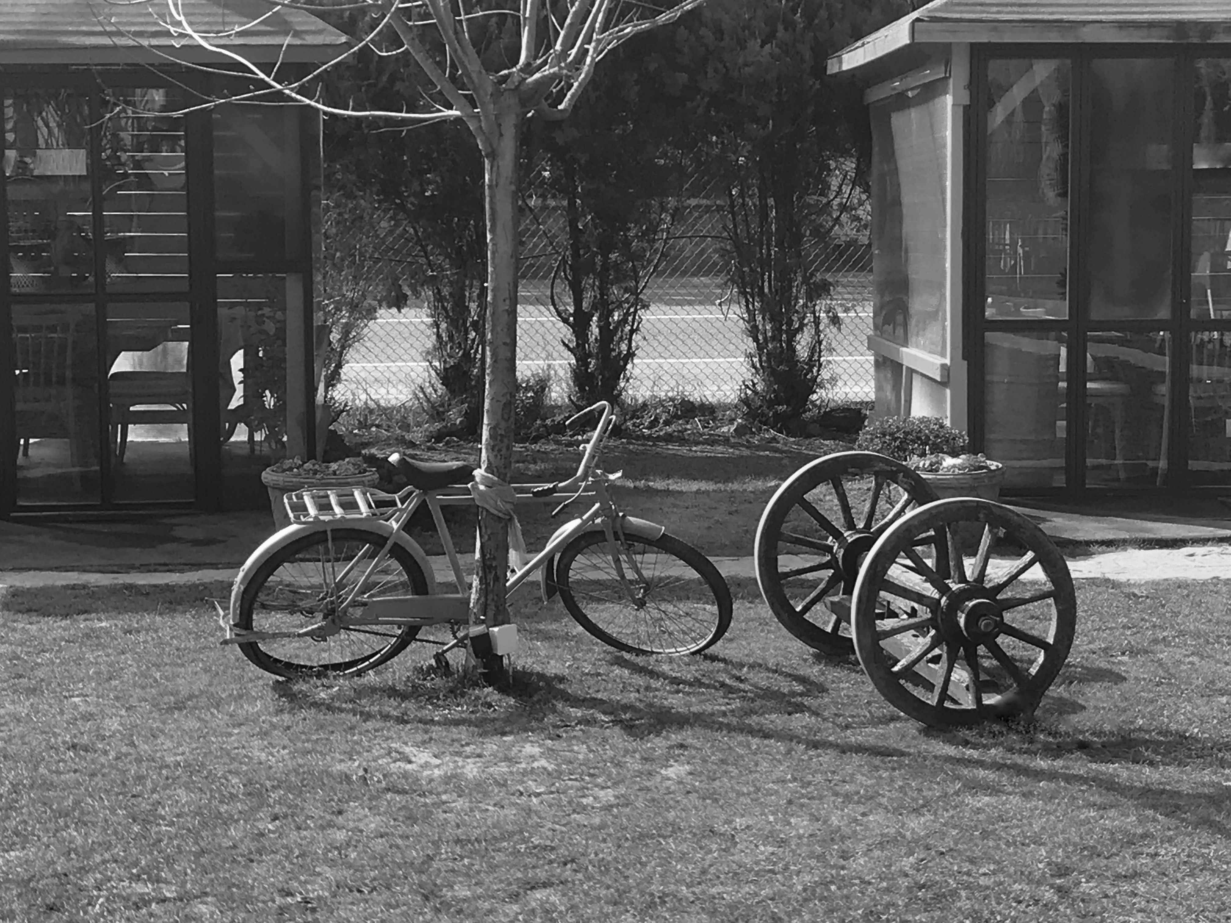 Cihan Özdemir (@cihanozdemir) | Komunitas Foto Unsplash