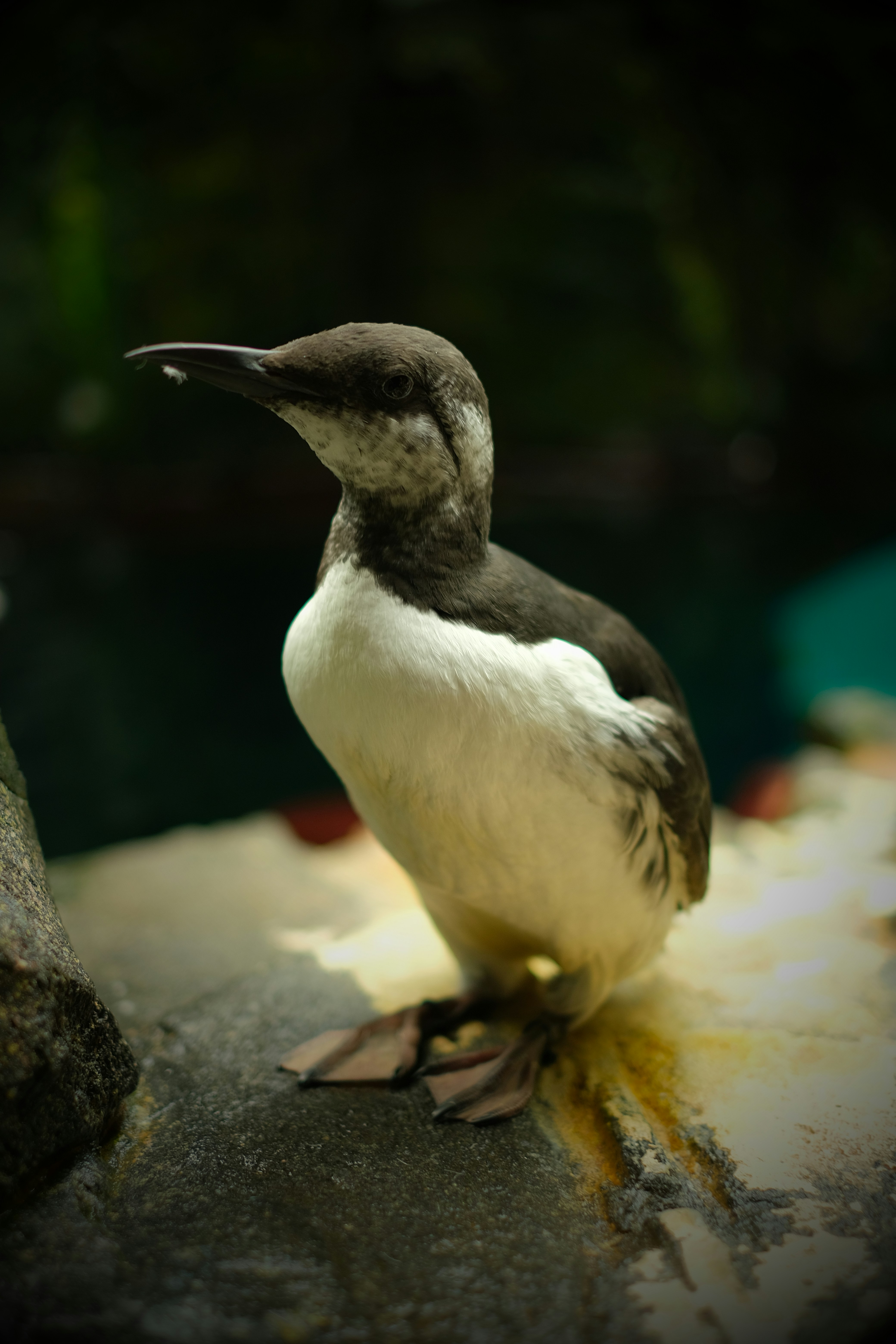 Photo by Yuliia Dementsova with Fujifilm X-T30 II