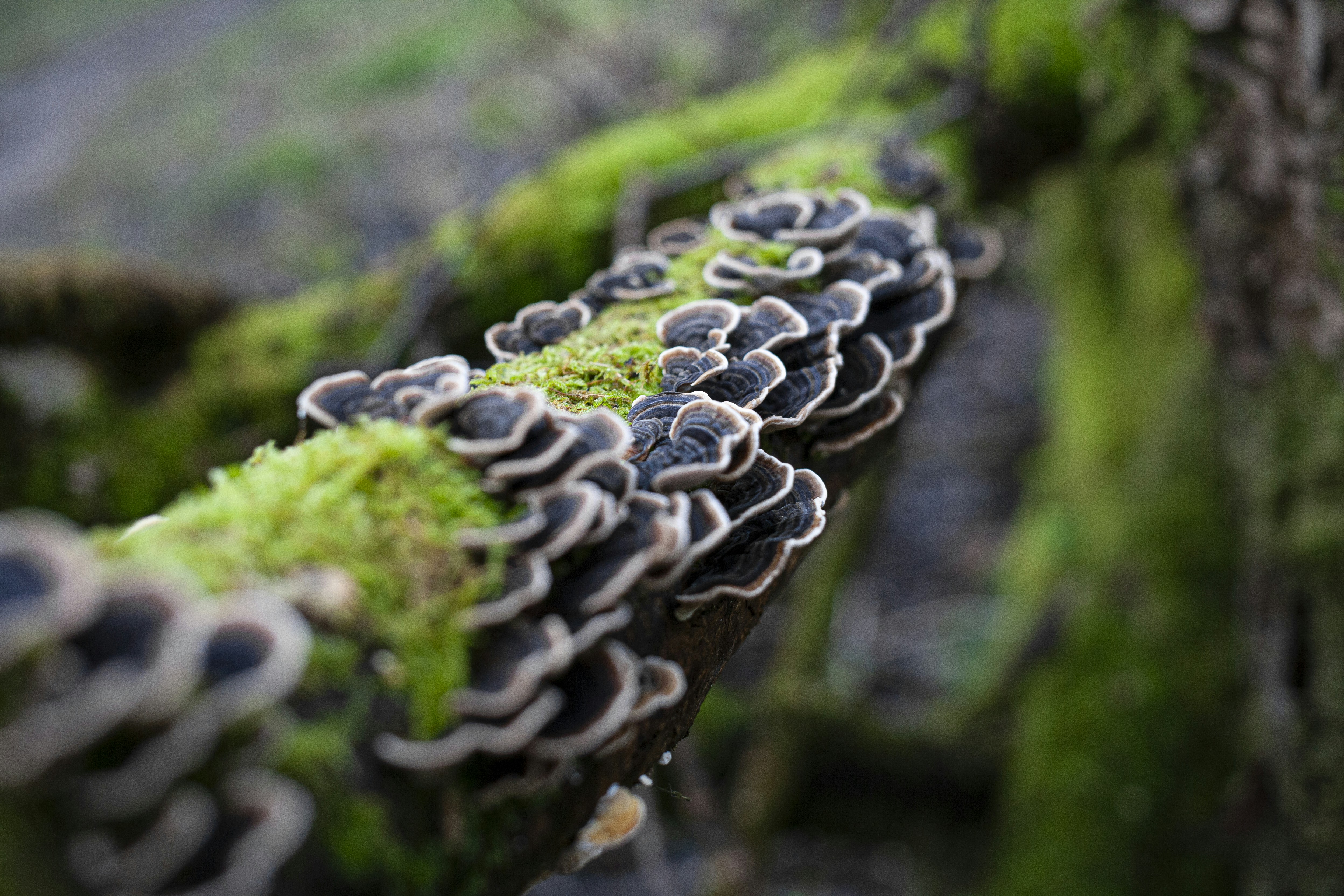 Photo by Jonathan Cosens Photography with Canon EOS-1Ds Mark II