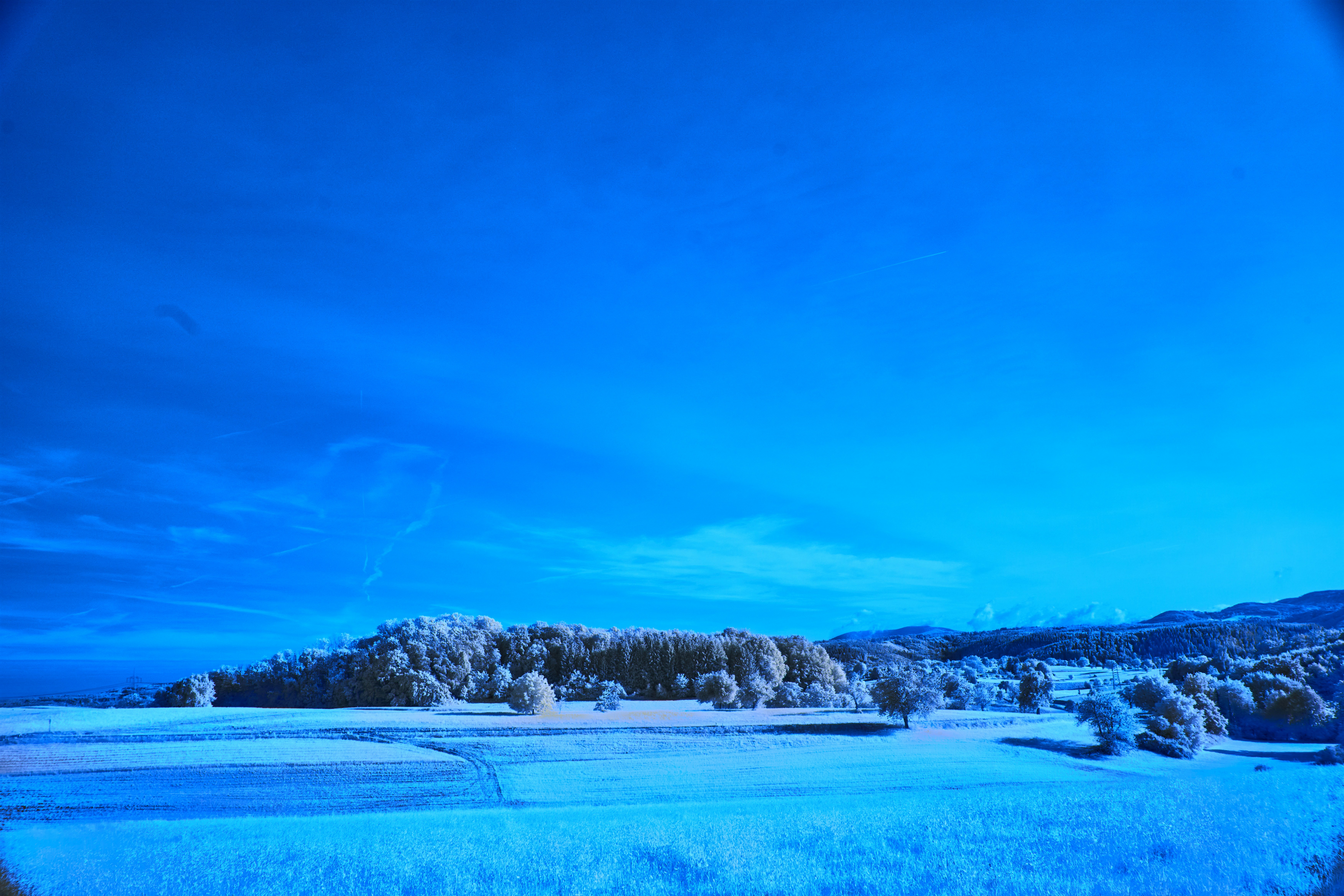 Photo by Wolfgang Hasselmann with Sony Alpha 7 IV