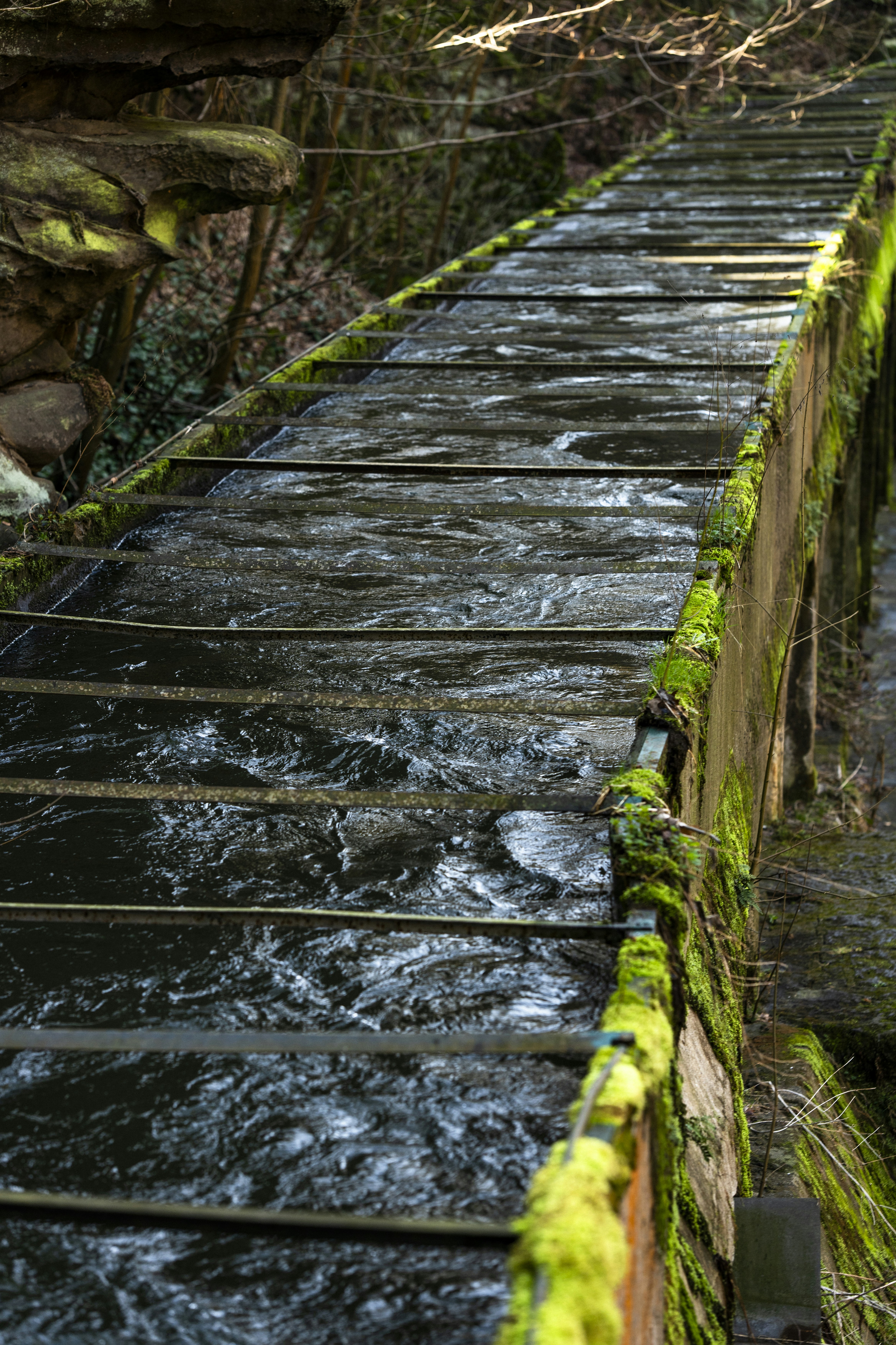 Diagonal Moss-Capped Bridge Over a Rushing Forest Stream