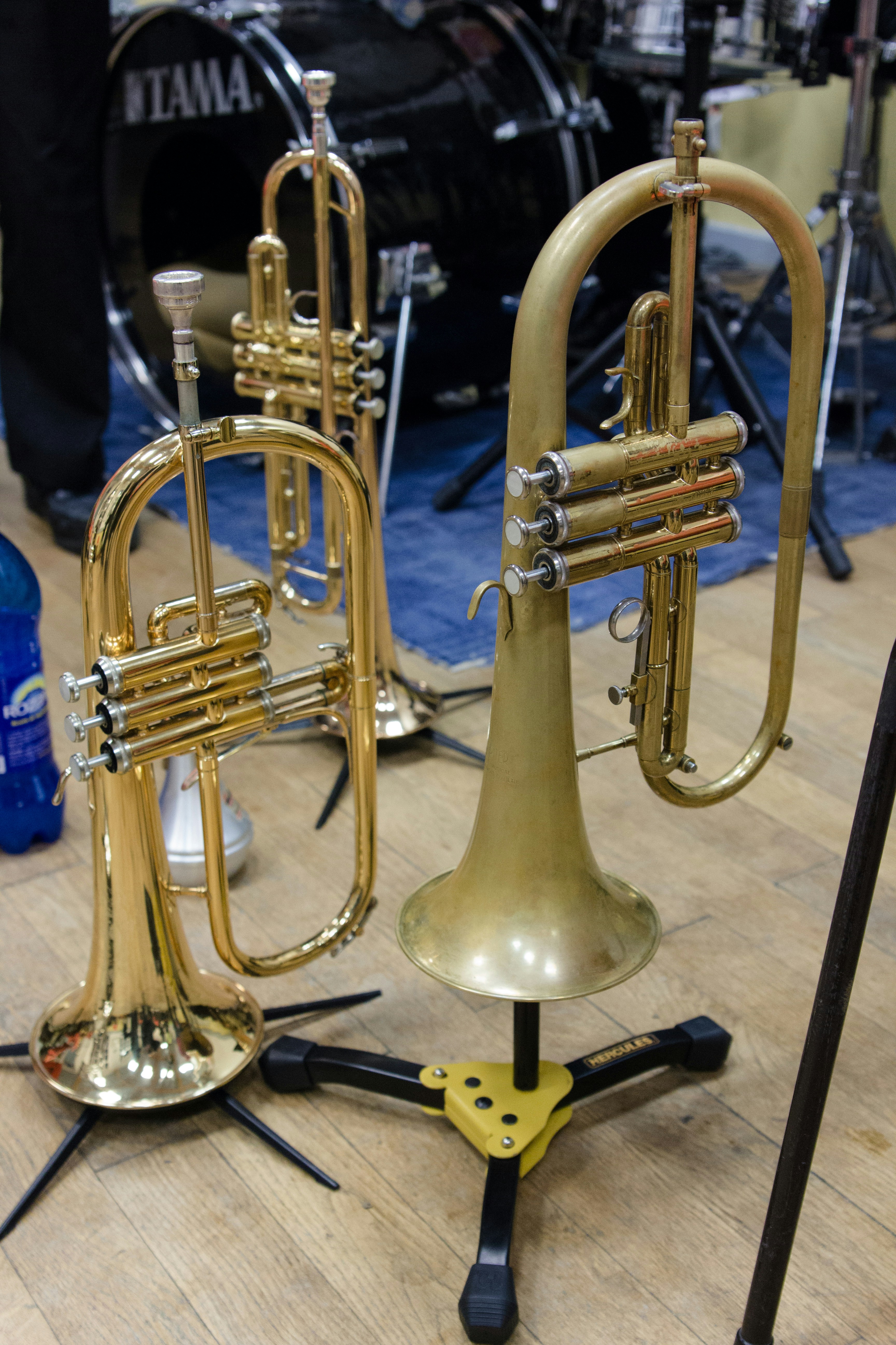 Wind Instruments Pictures | Download Free Images on Unsplash