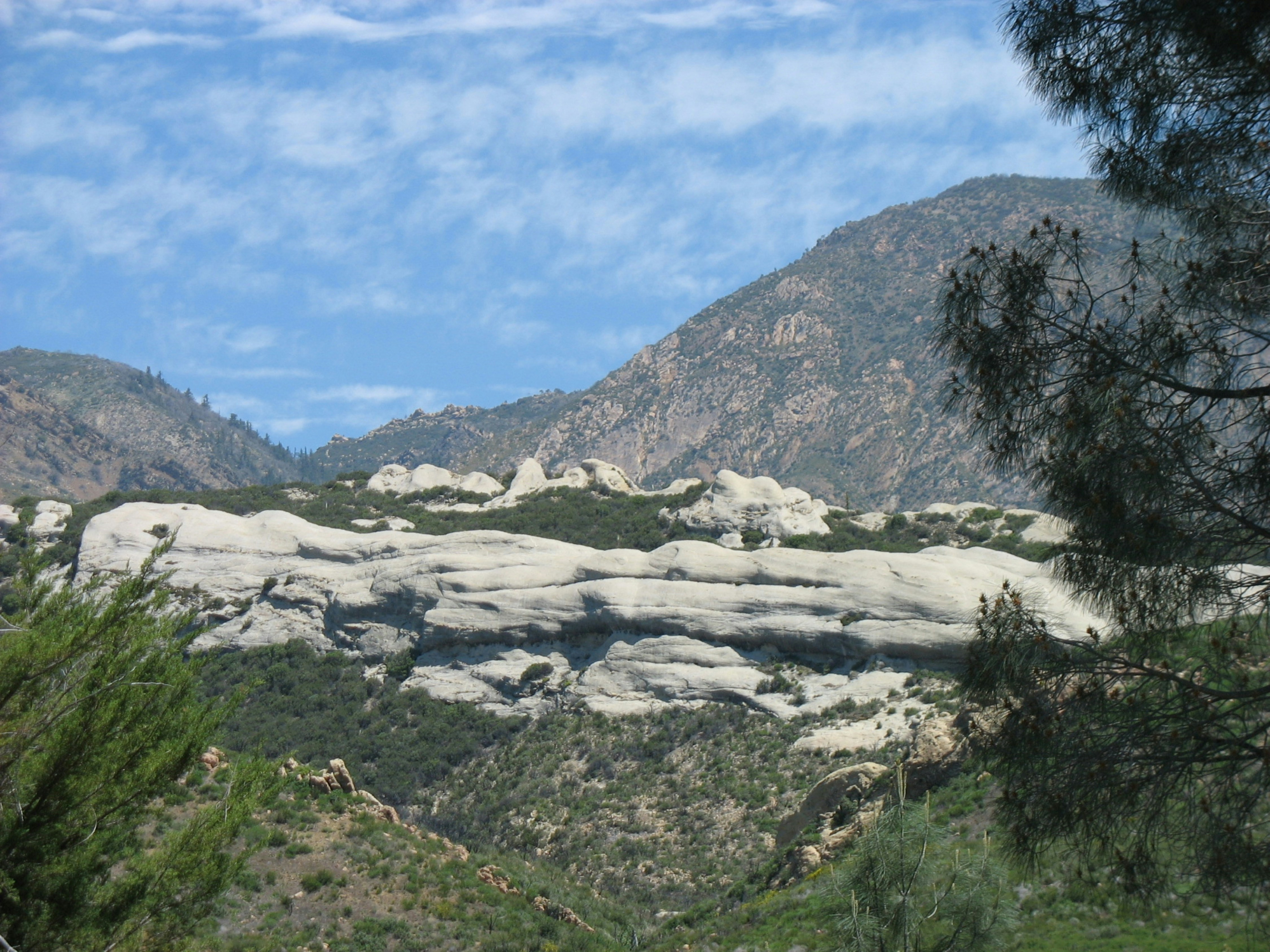 Cyndi Struven (@cyntrola) | Unsplash Photo Community