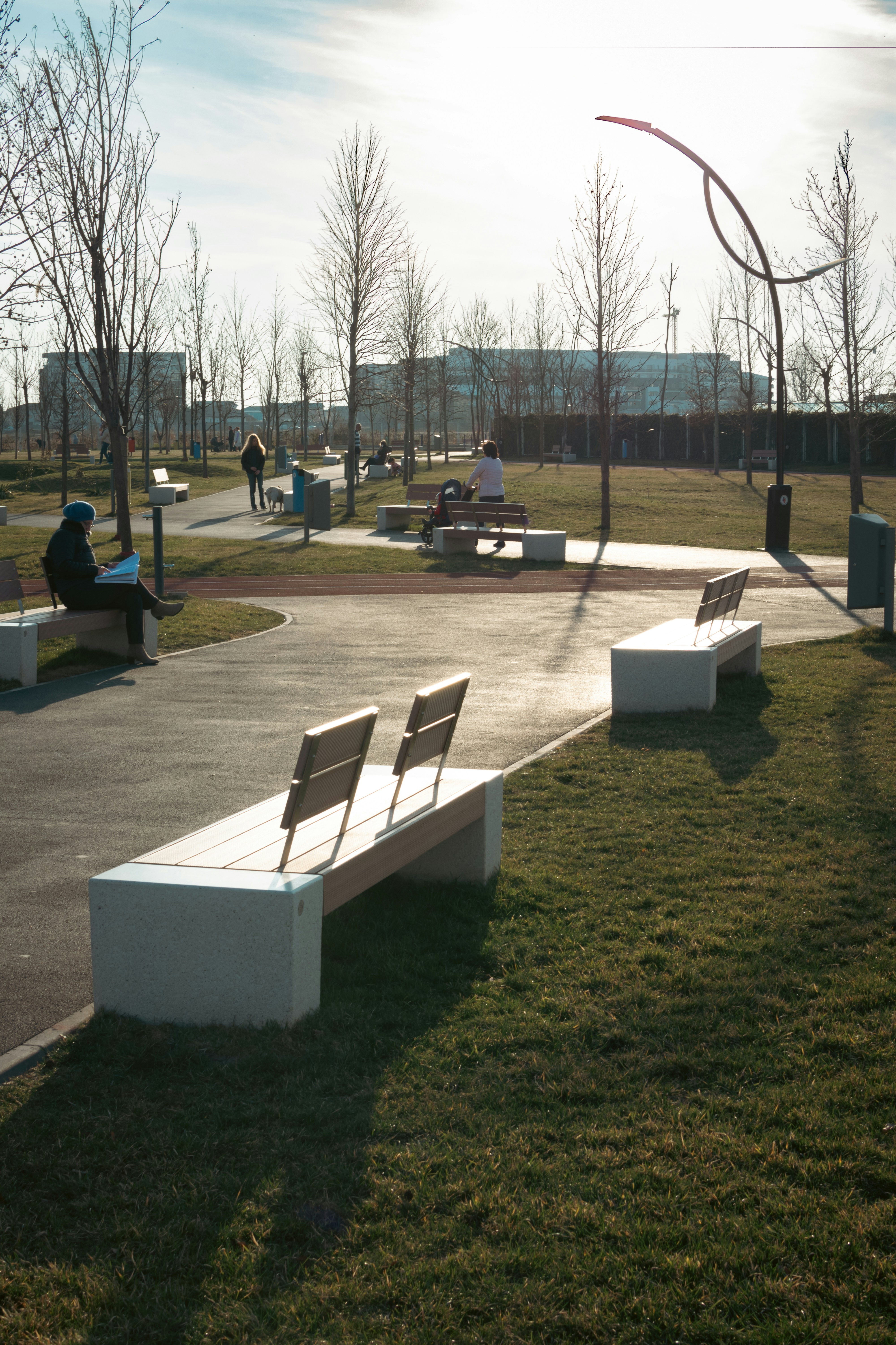Arc in the Early Light: A Quiet Park of Benches and Sunlit Pathways