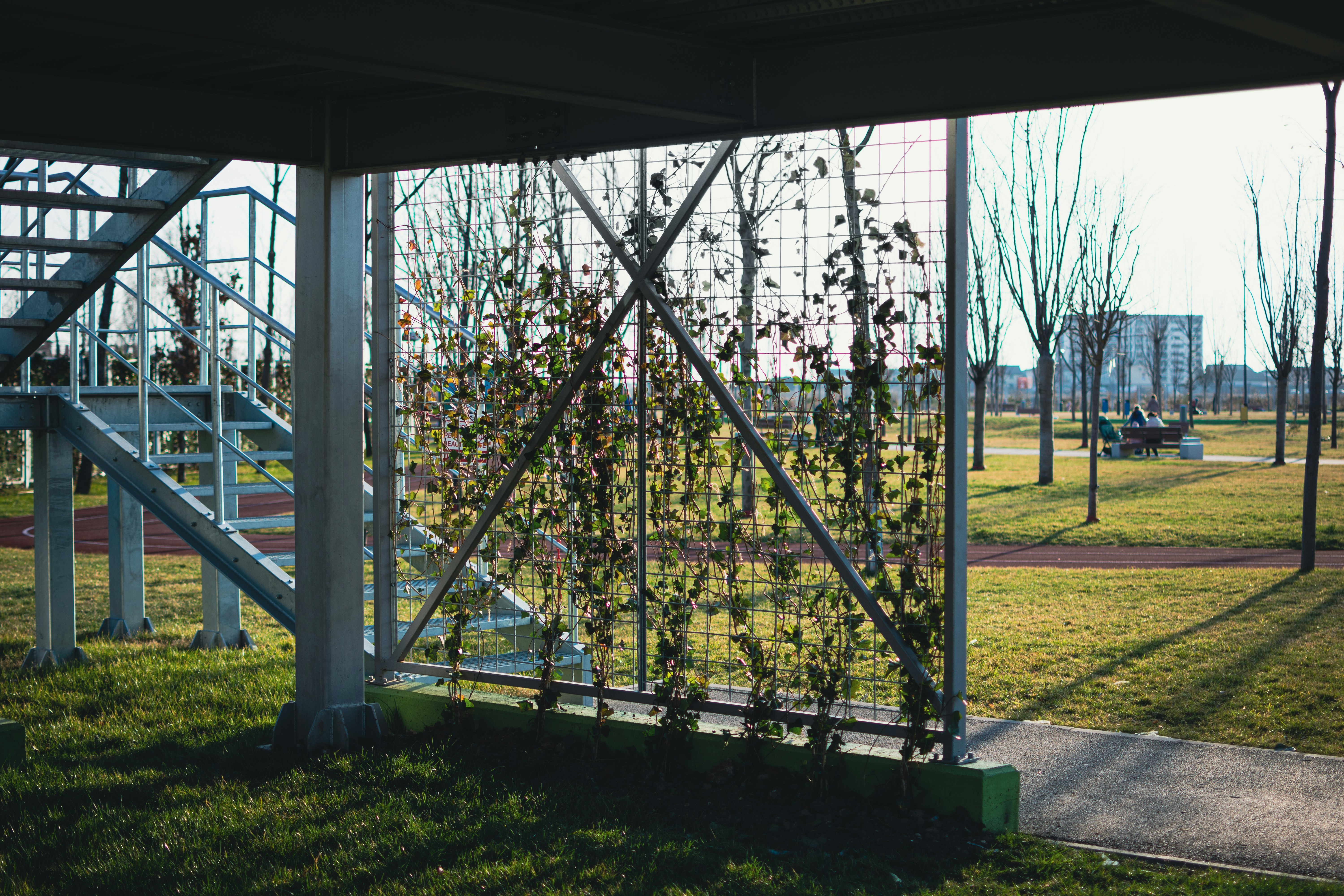 Vine-Clad Steel Lattice Against a Sunlit Park Backdrop