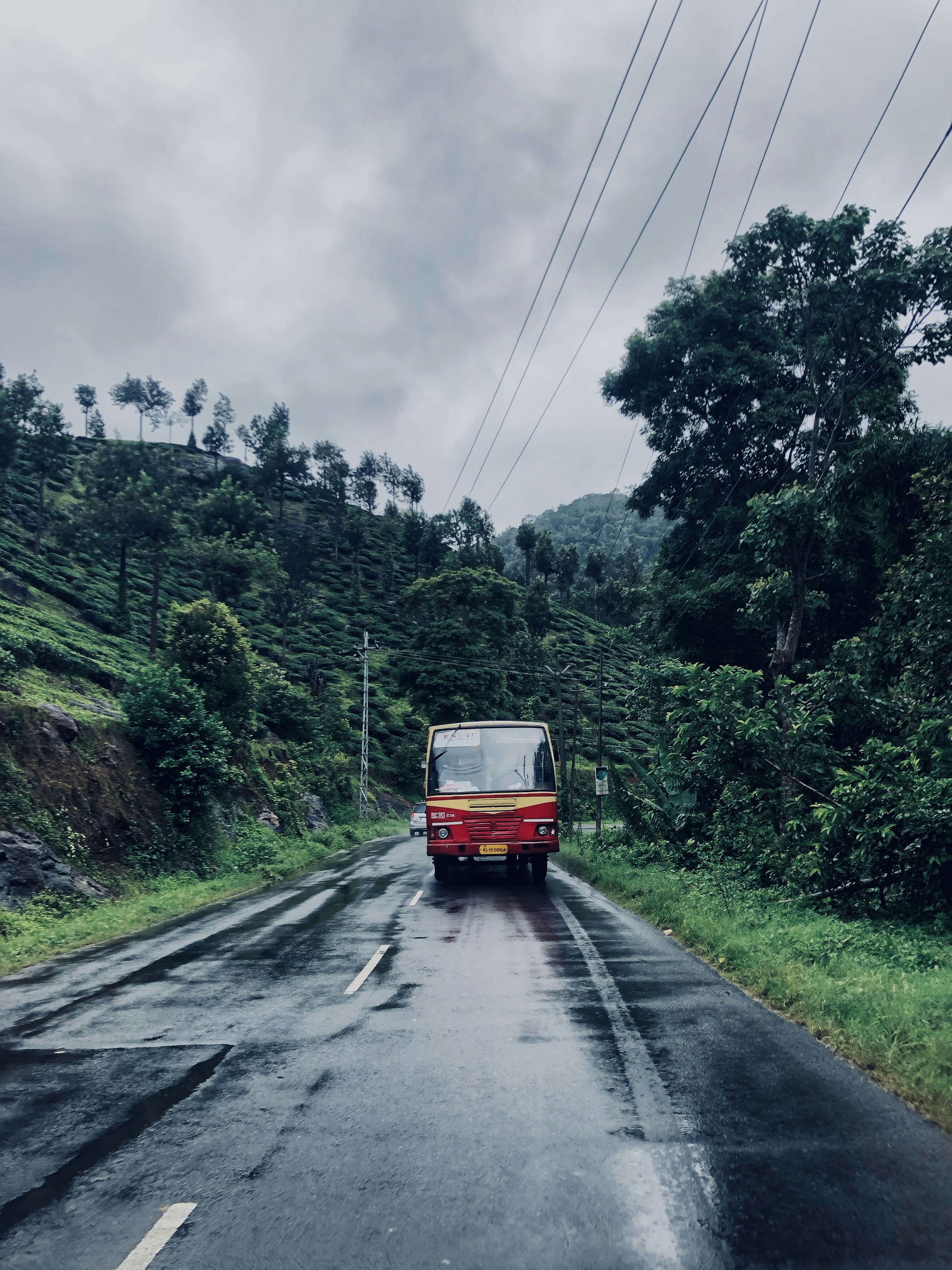 Red Bus on a Rain-Slick Mountain Road Through Lush Hillscape
