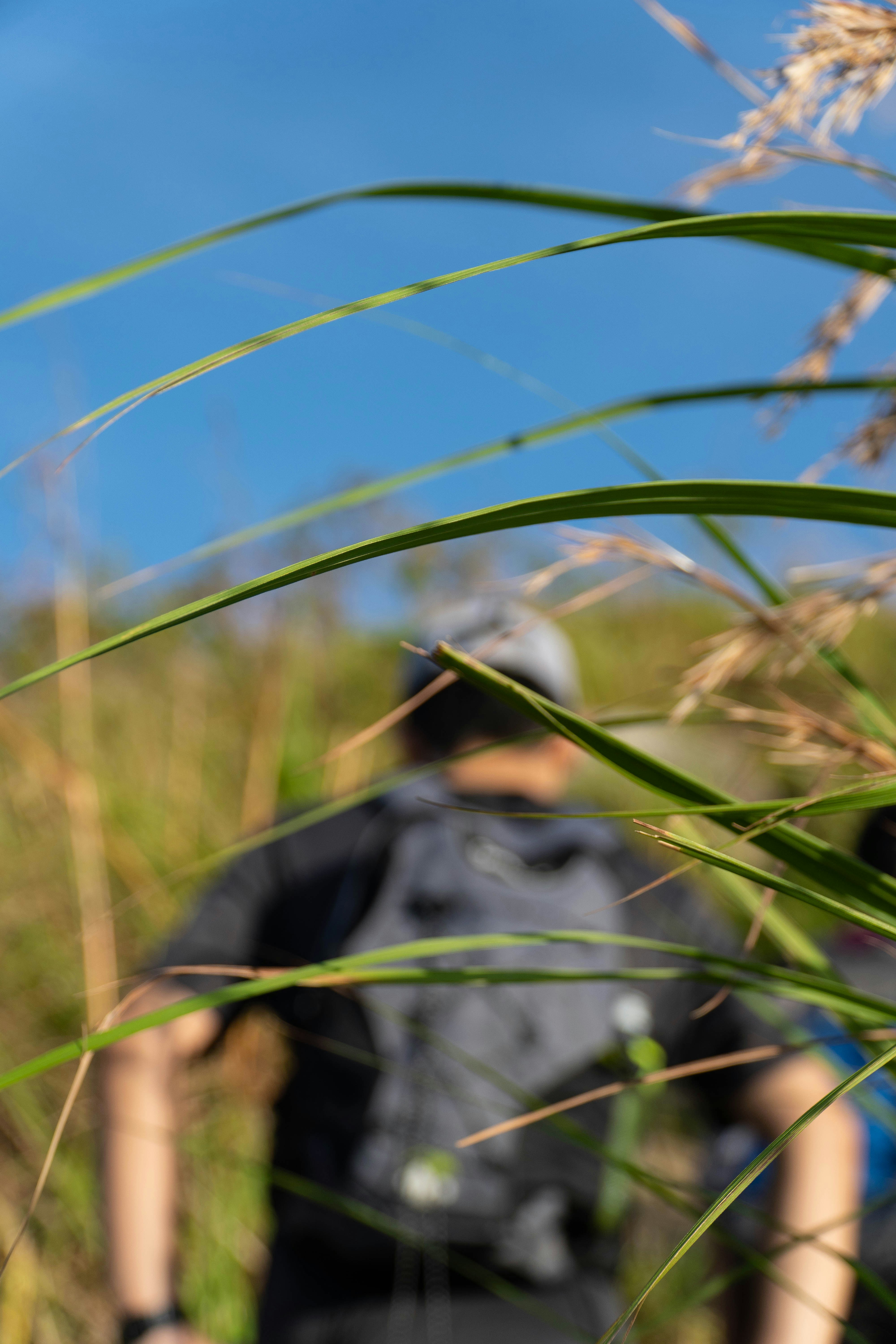 Photo by Irfan Syahmi with Sony Alpha 6400