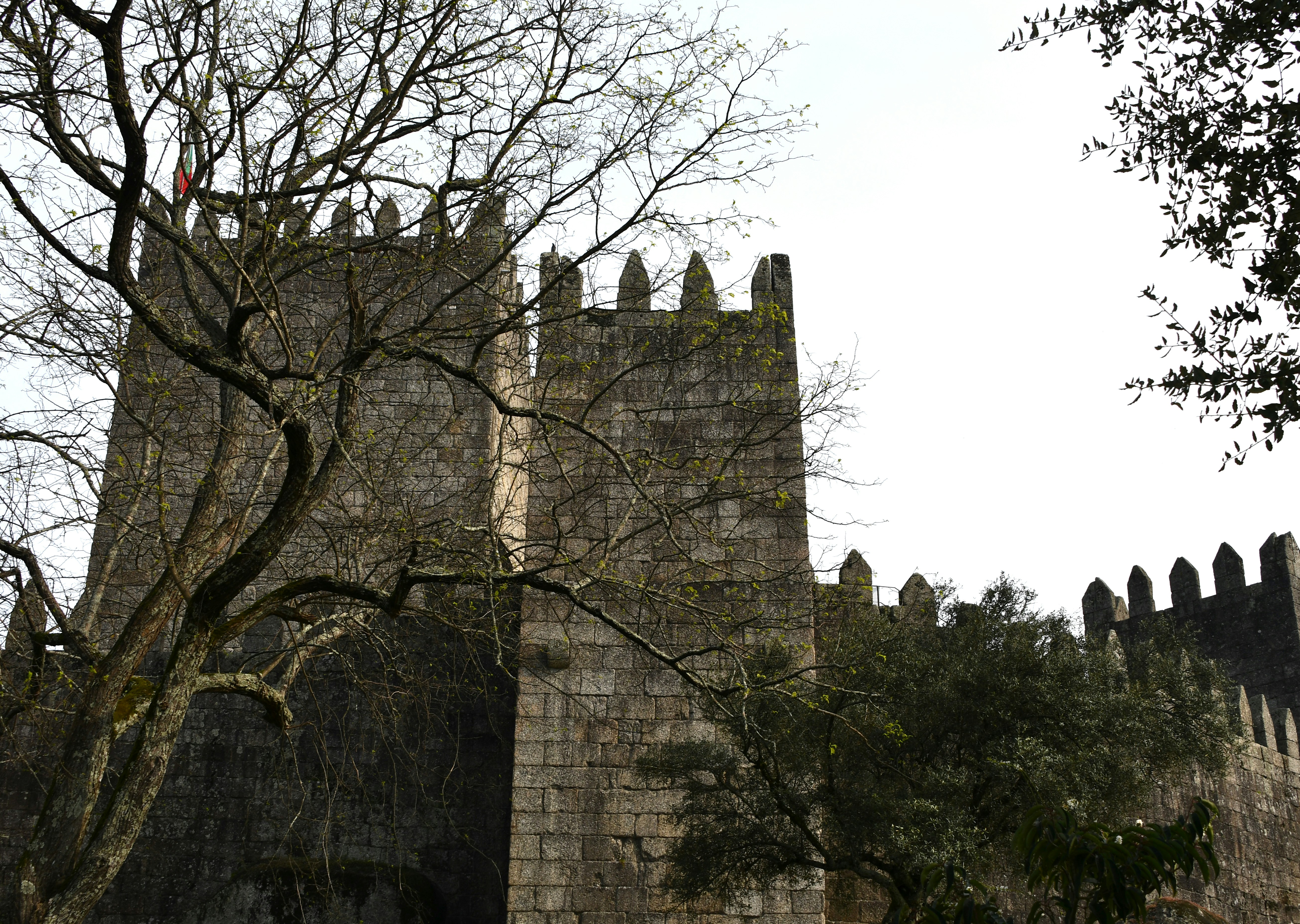 A large stone castle with a tree in front of it photo – Free Guimarães ...