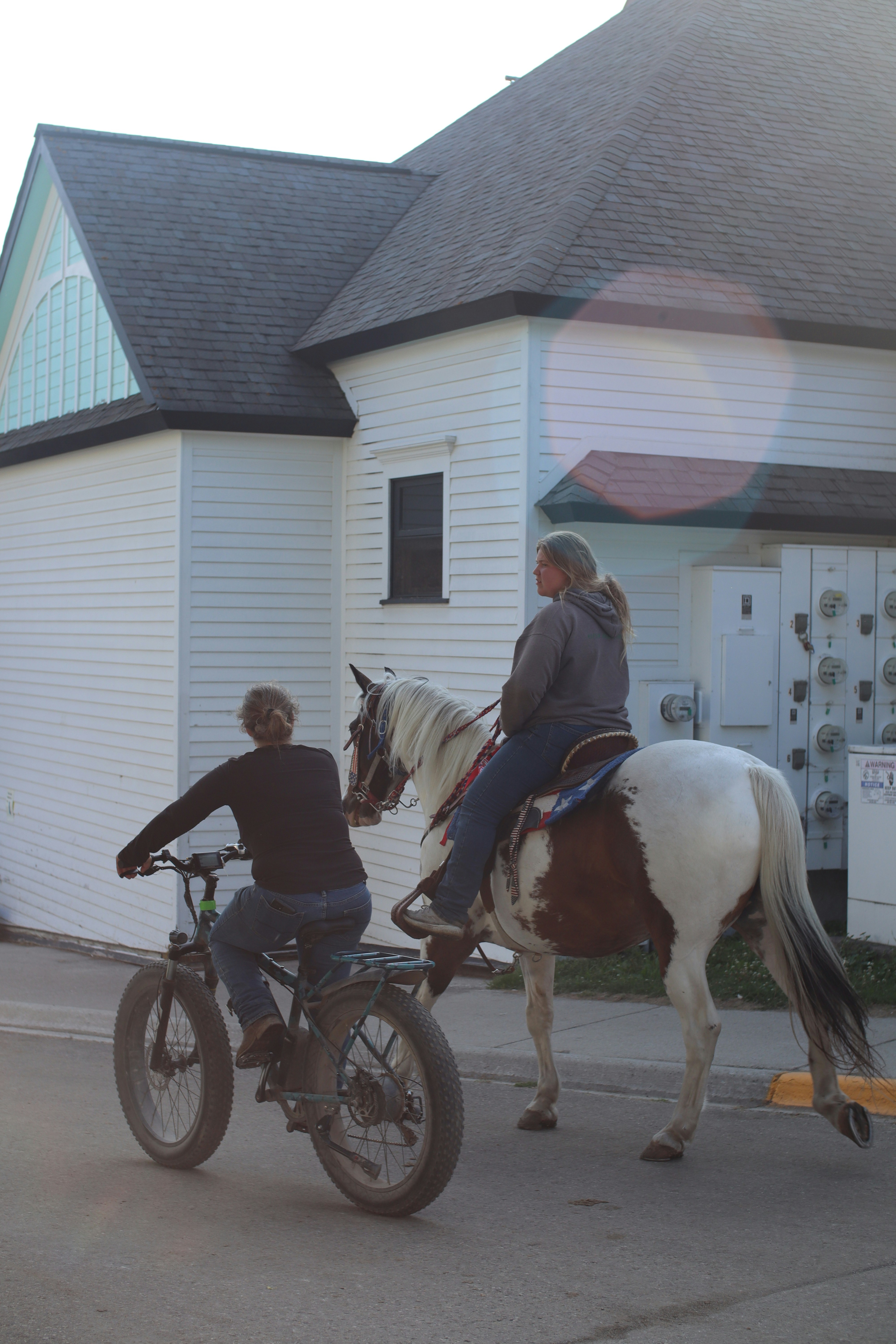 Urban Equine Encounter