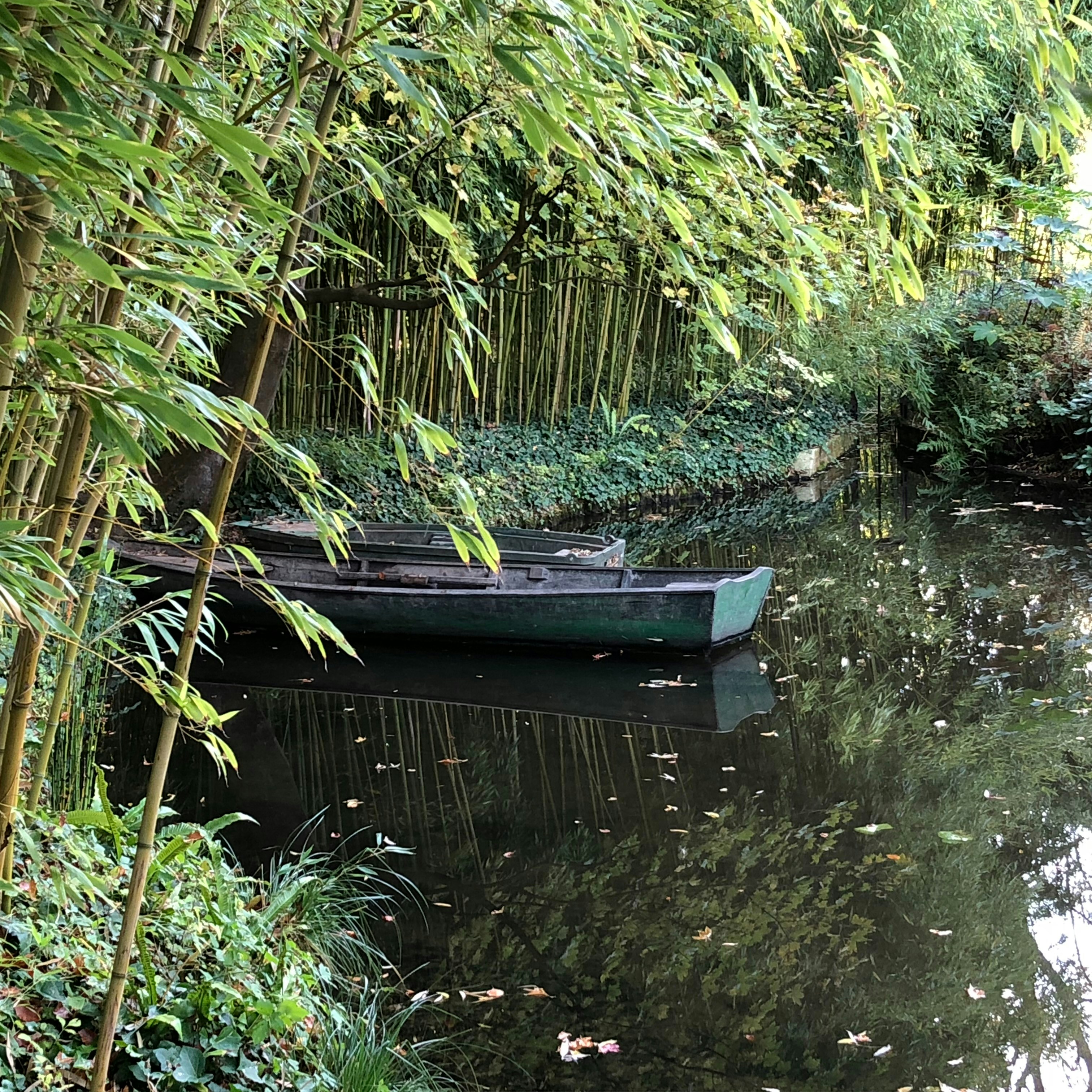Bamboo Canal Reverie: A Quiet Mooring Between Reflections