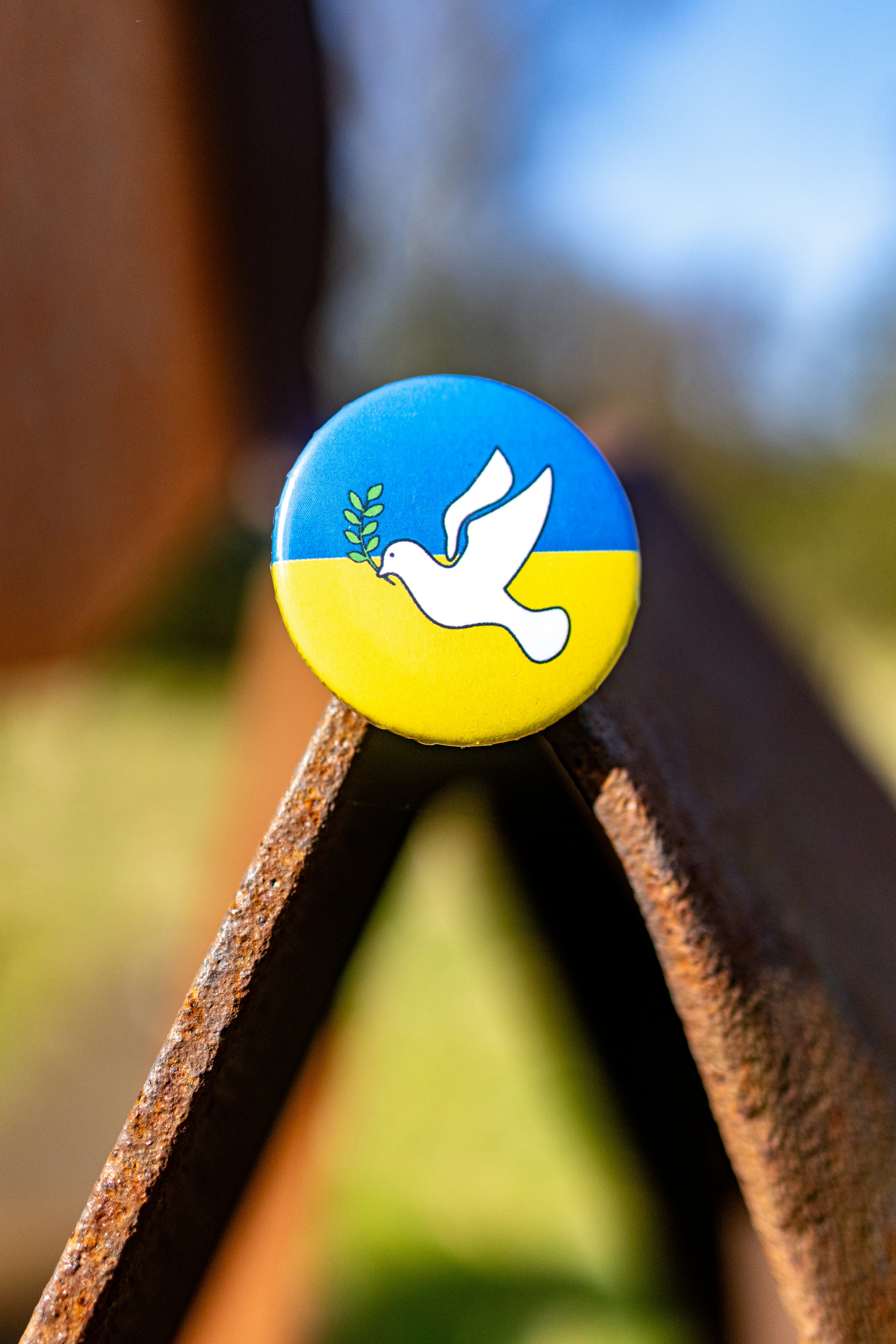 Blue-Yellow Dove on Rusted Rails: A Quiet Symbol Button