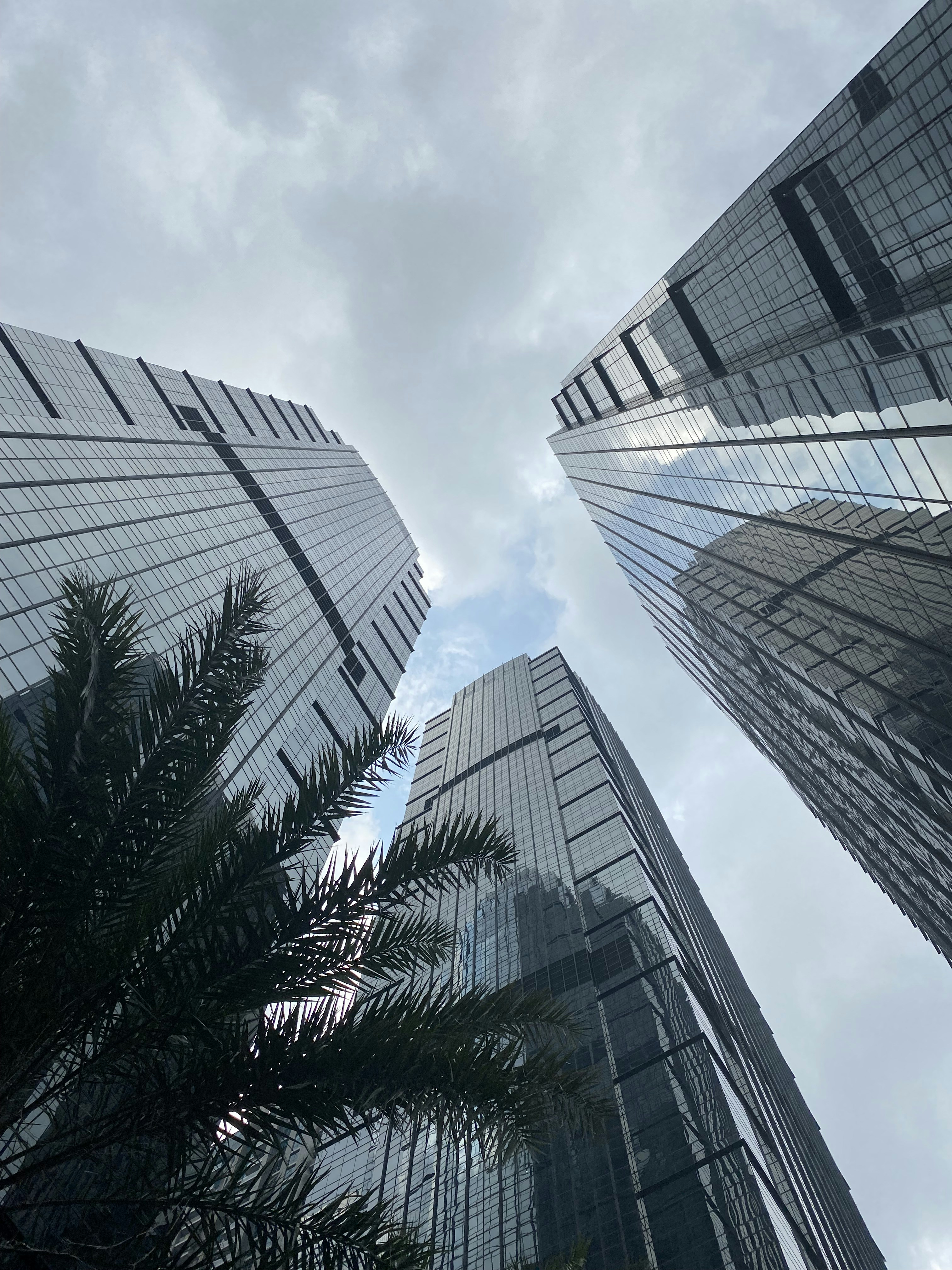 Skyward Convergence: Between Glass Giants