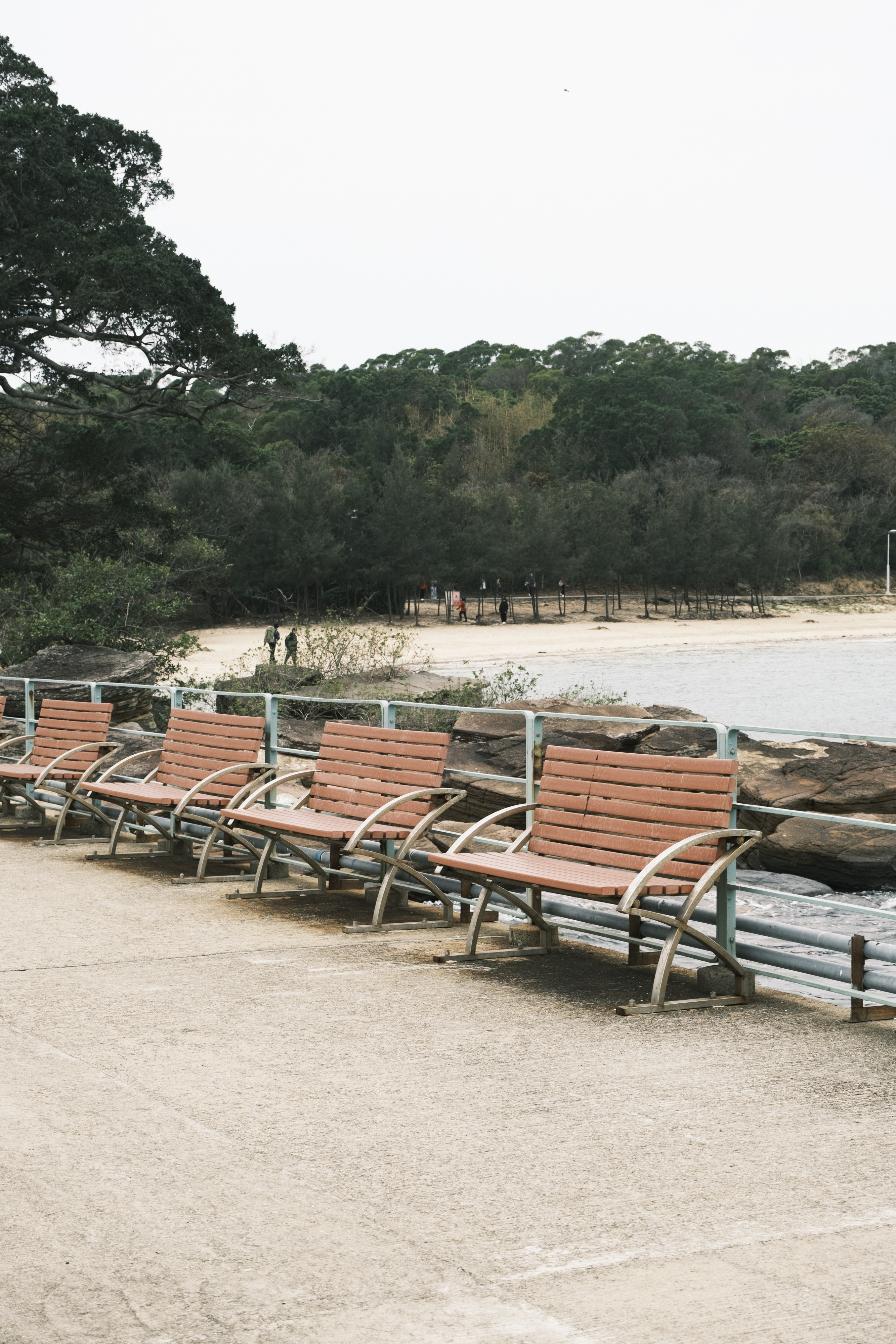 A row of benches sitting next to a body of water photo – Free Bench ...