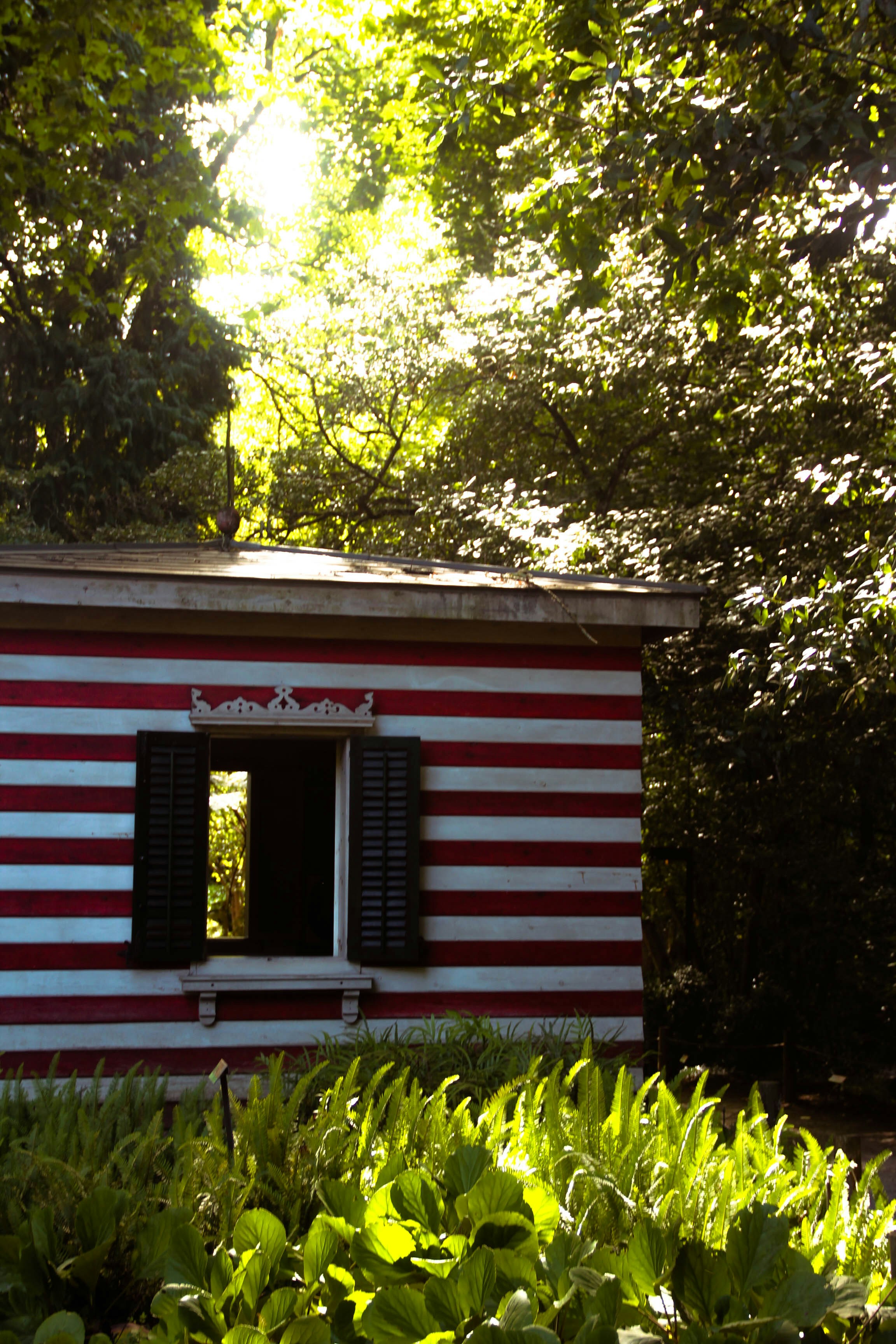Stripes and Sunlight: A Cottage Framed by Green Canopy