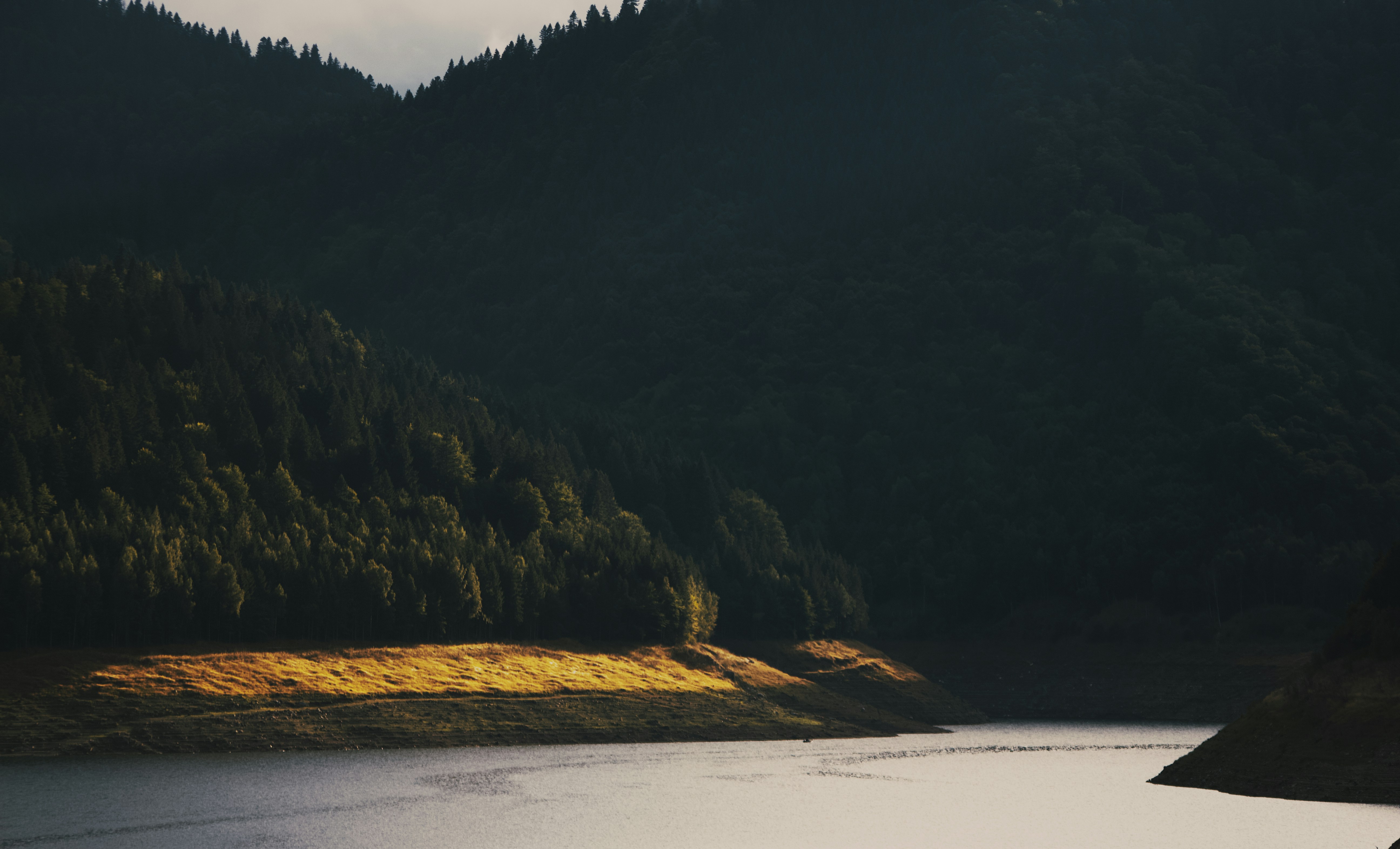 Golden shoreline in shadowed valley