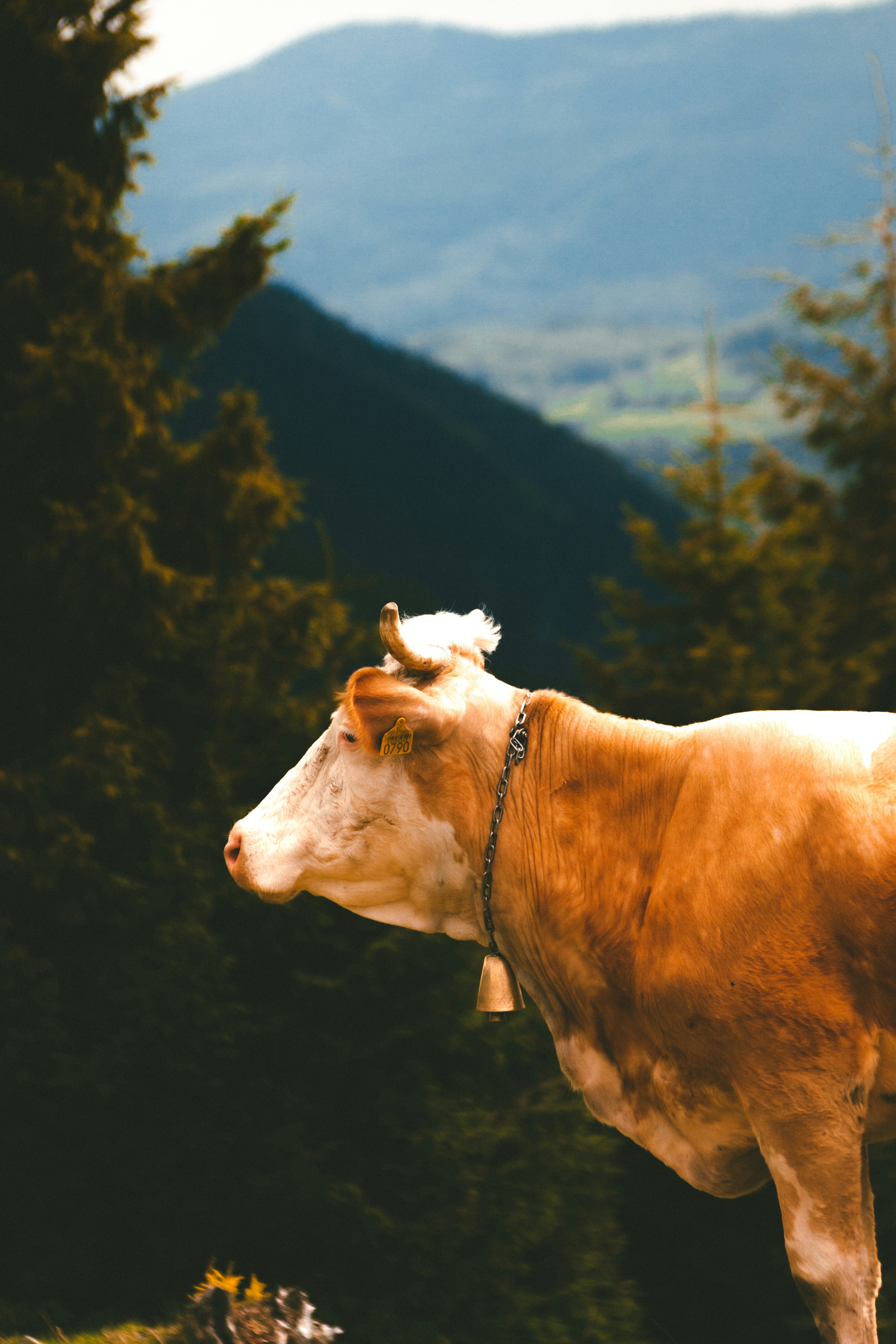 Photo by Roberto motoi with Canon EOS 700D