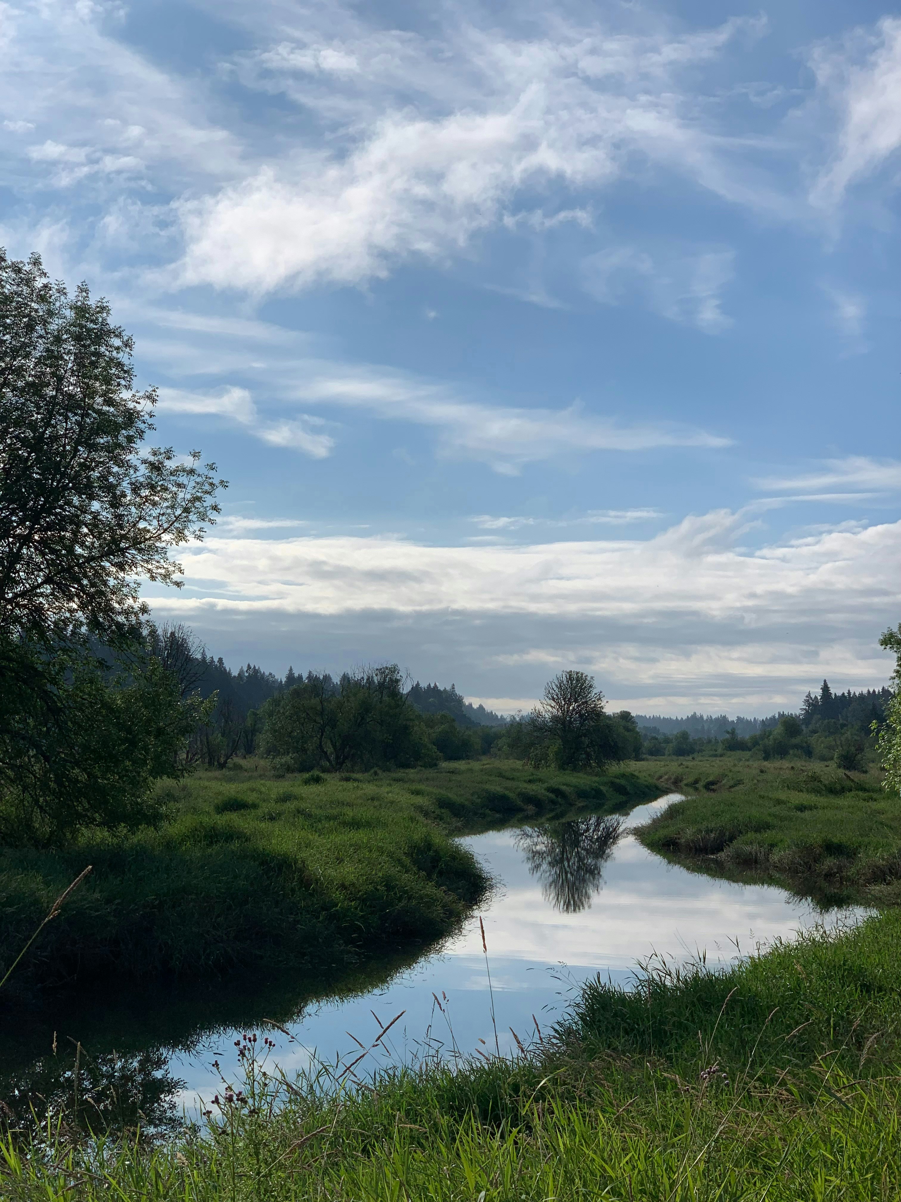 Meadow River Ribbon Reflecting a Quiet Summer Sky