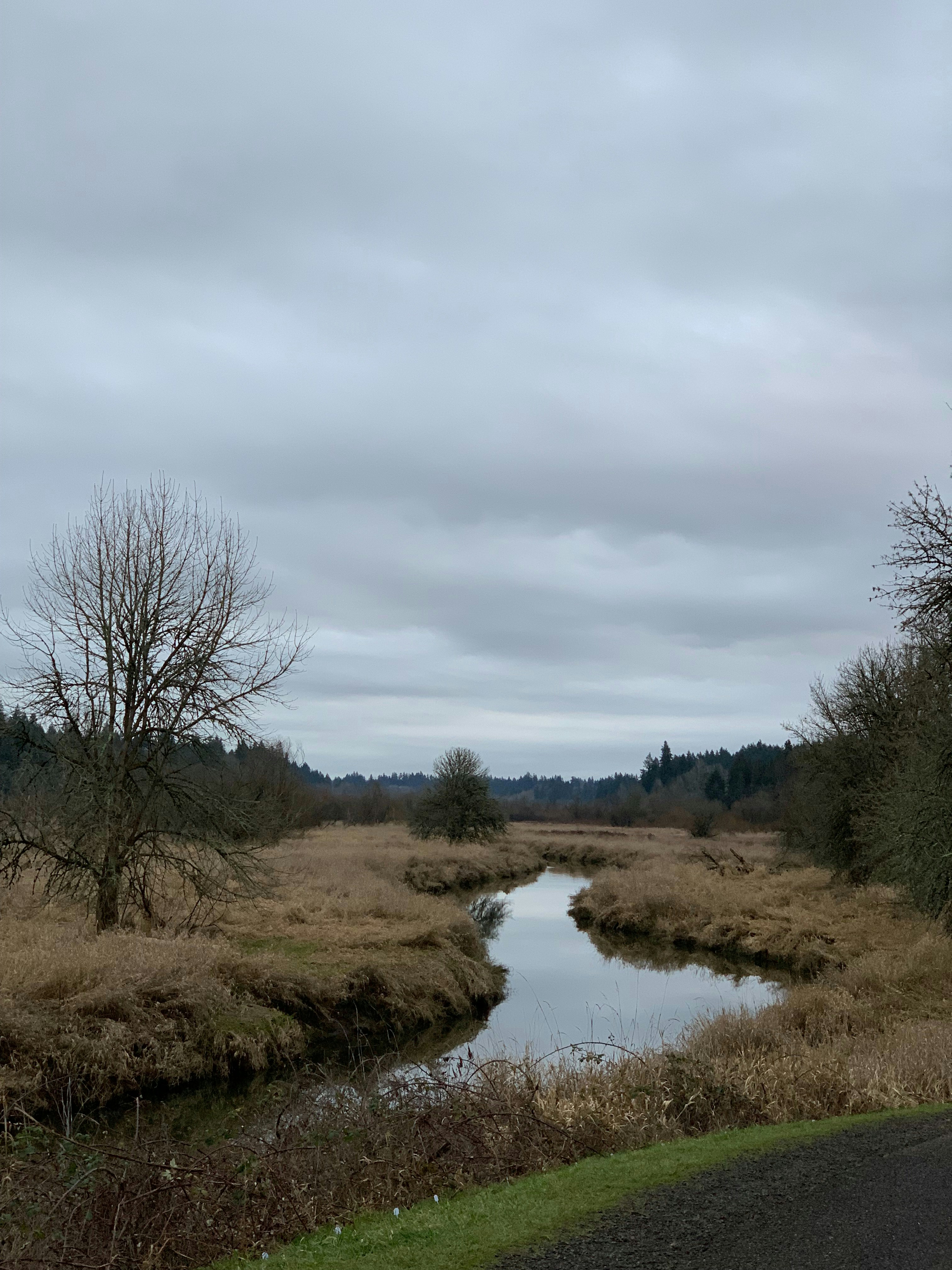 Winding Creek in a Winter Gray Meadow