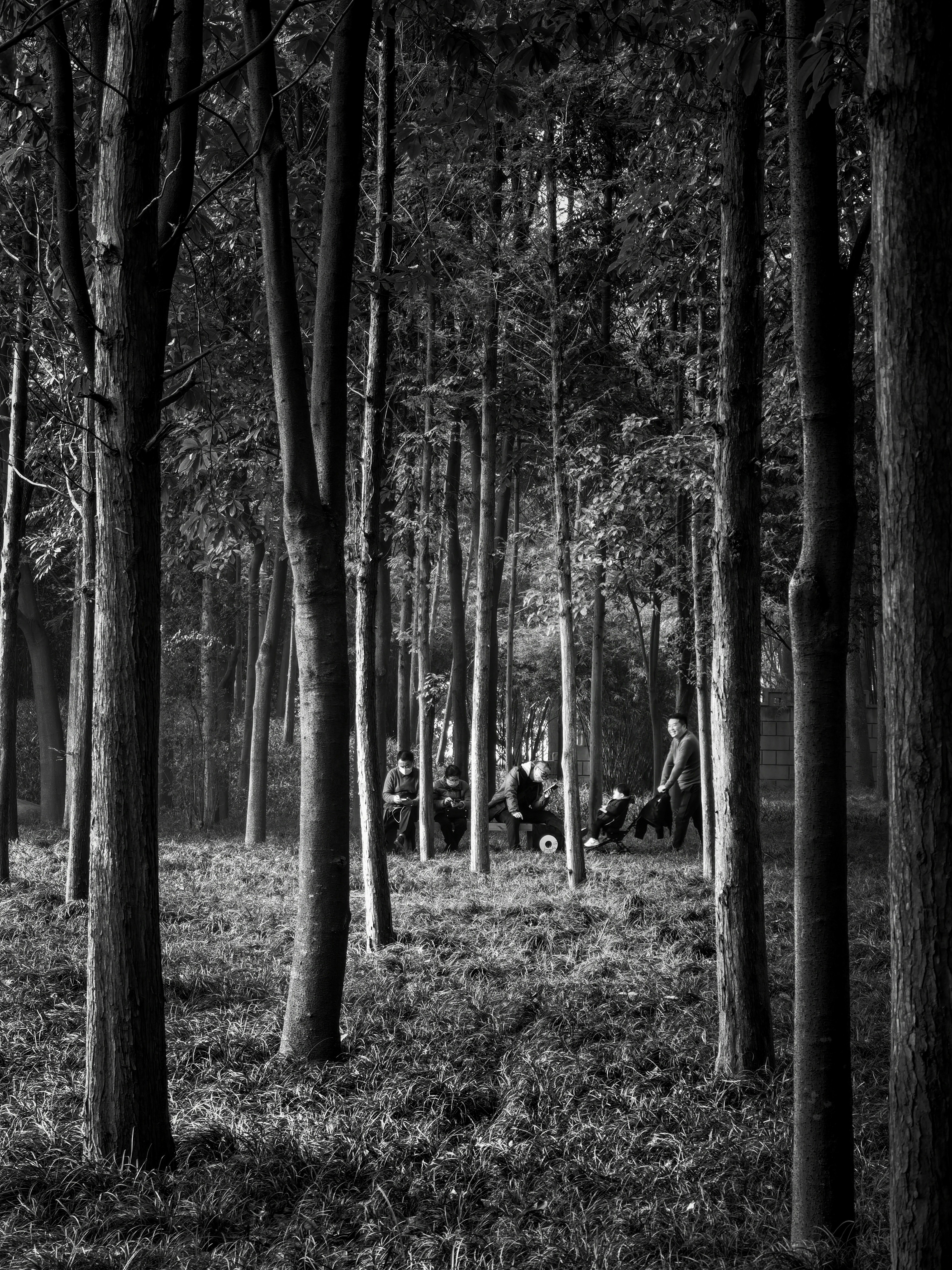a black and white photo of people in the woods