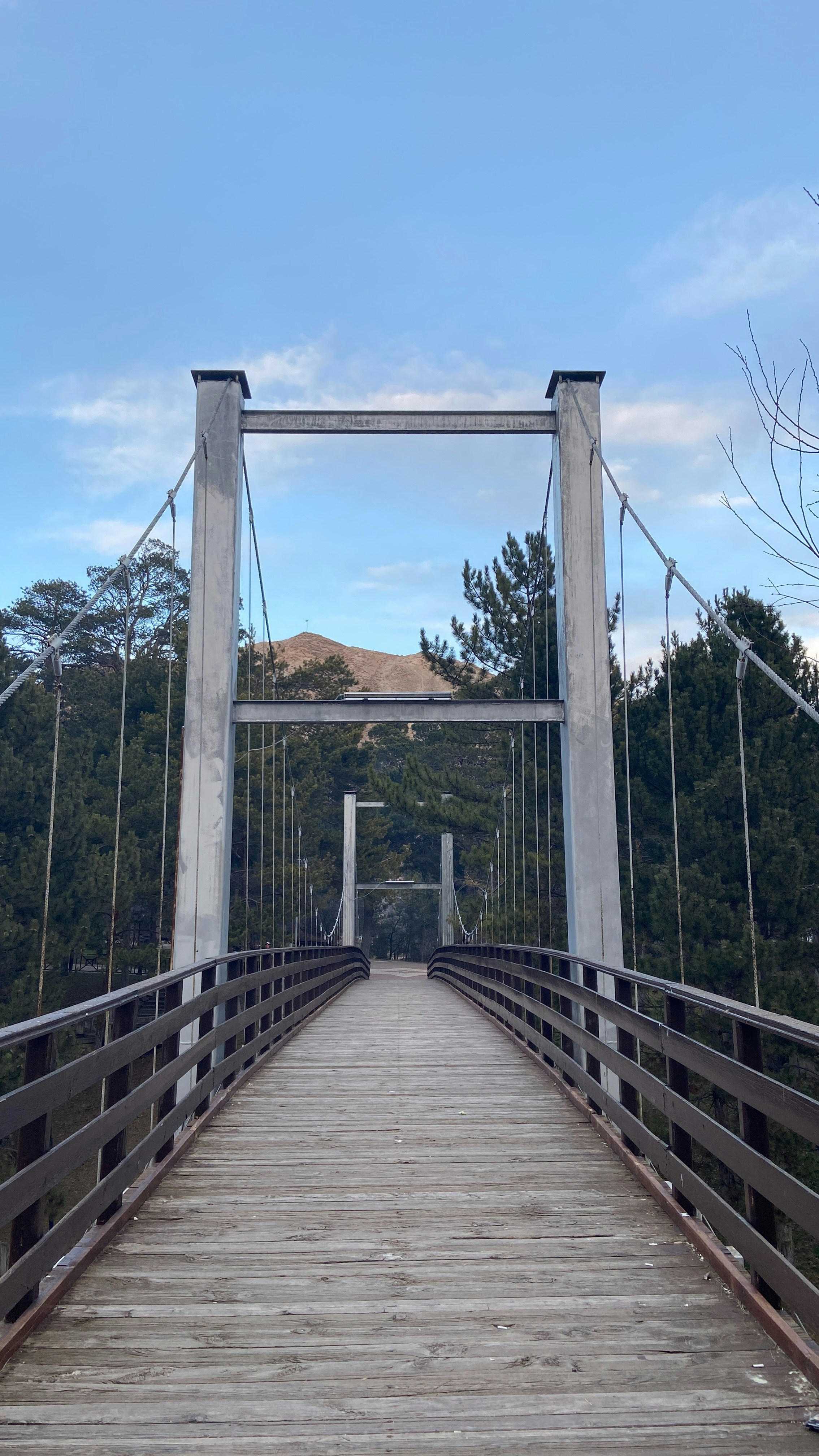 Suspended Serenity: A Bridge to Nature's Embrace