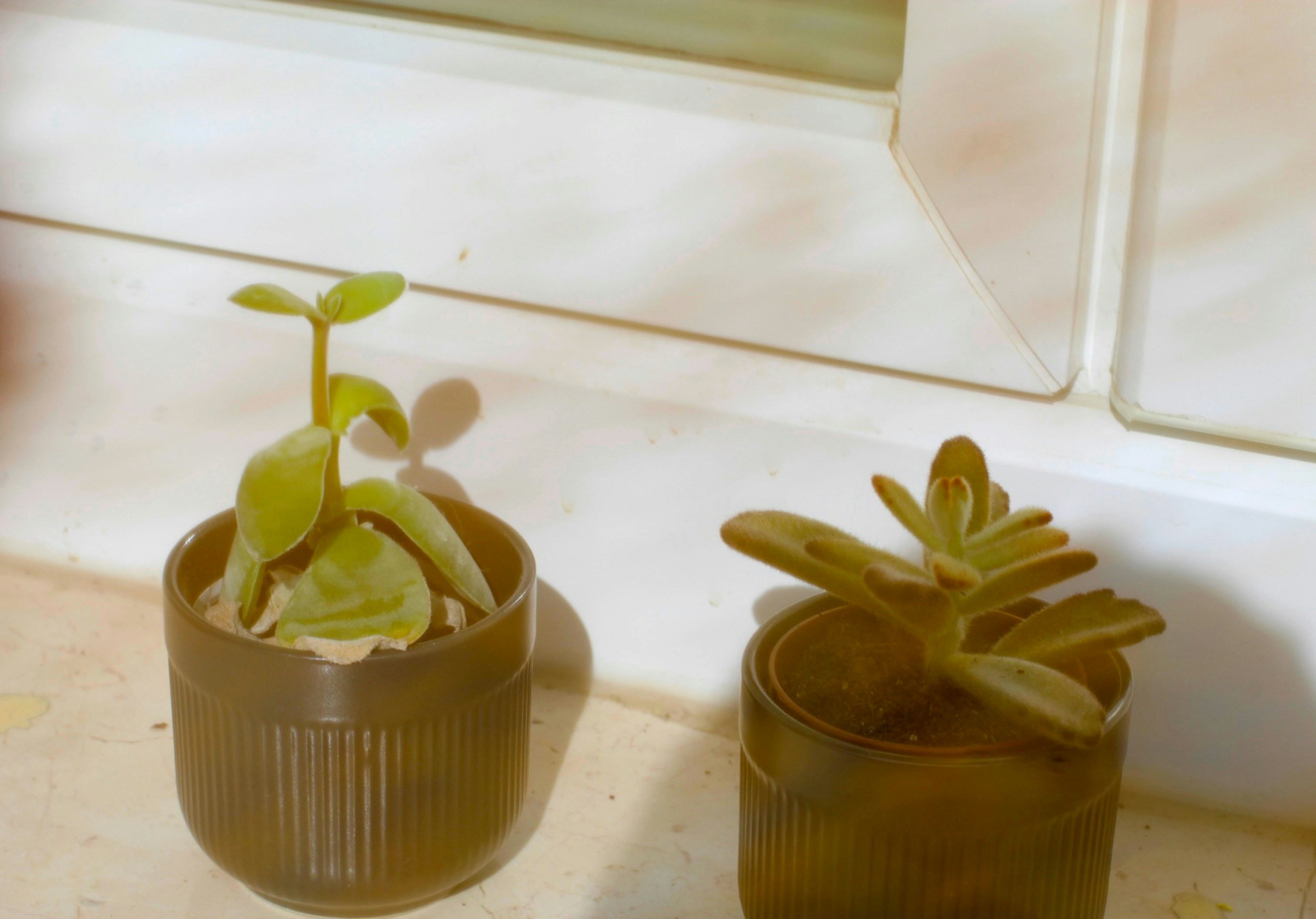 Photo by Marina Marcato with Canon EOS 4000D