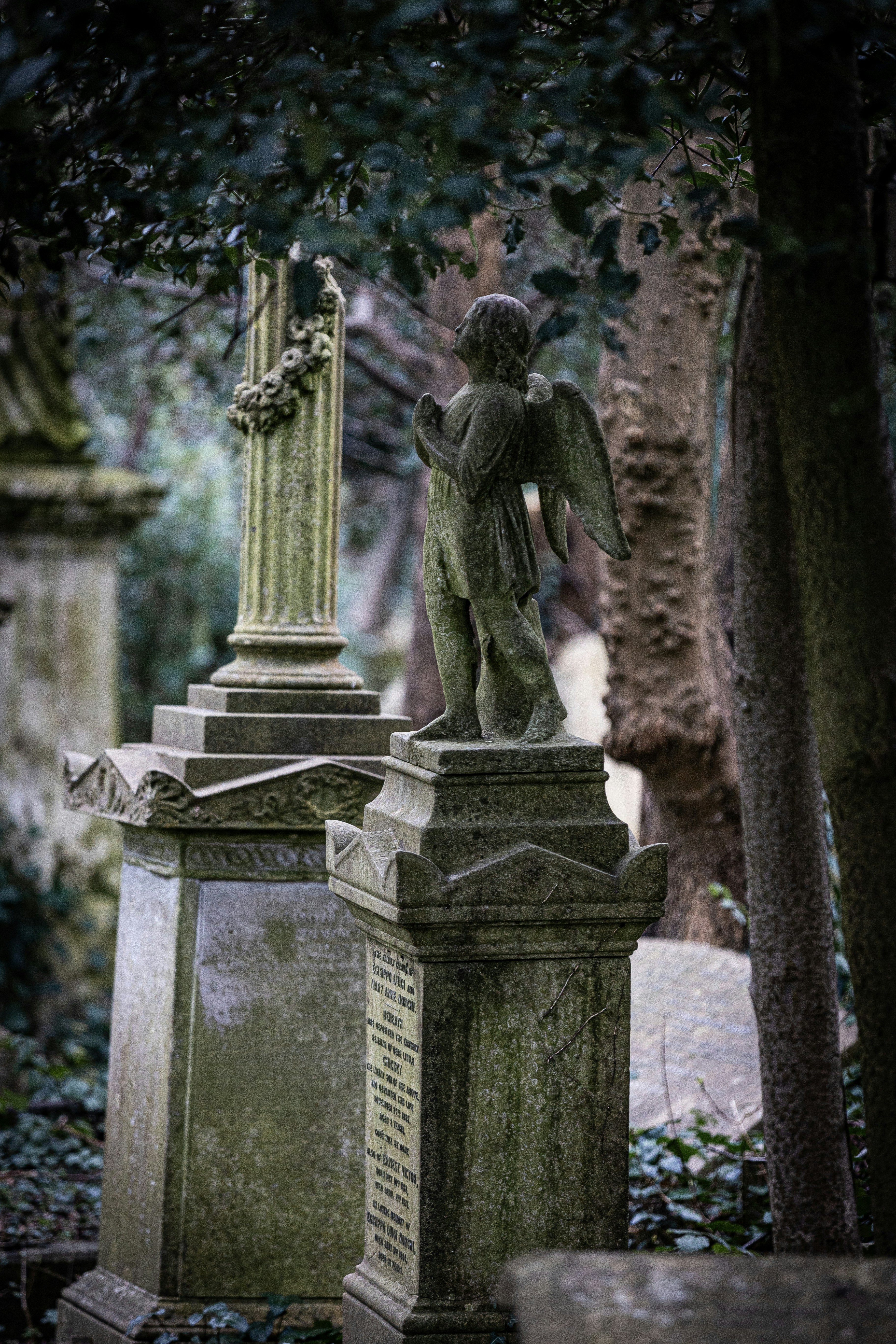 Old tombstones in the Highgate cemetery in London.