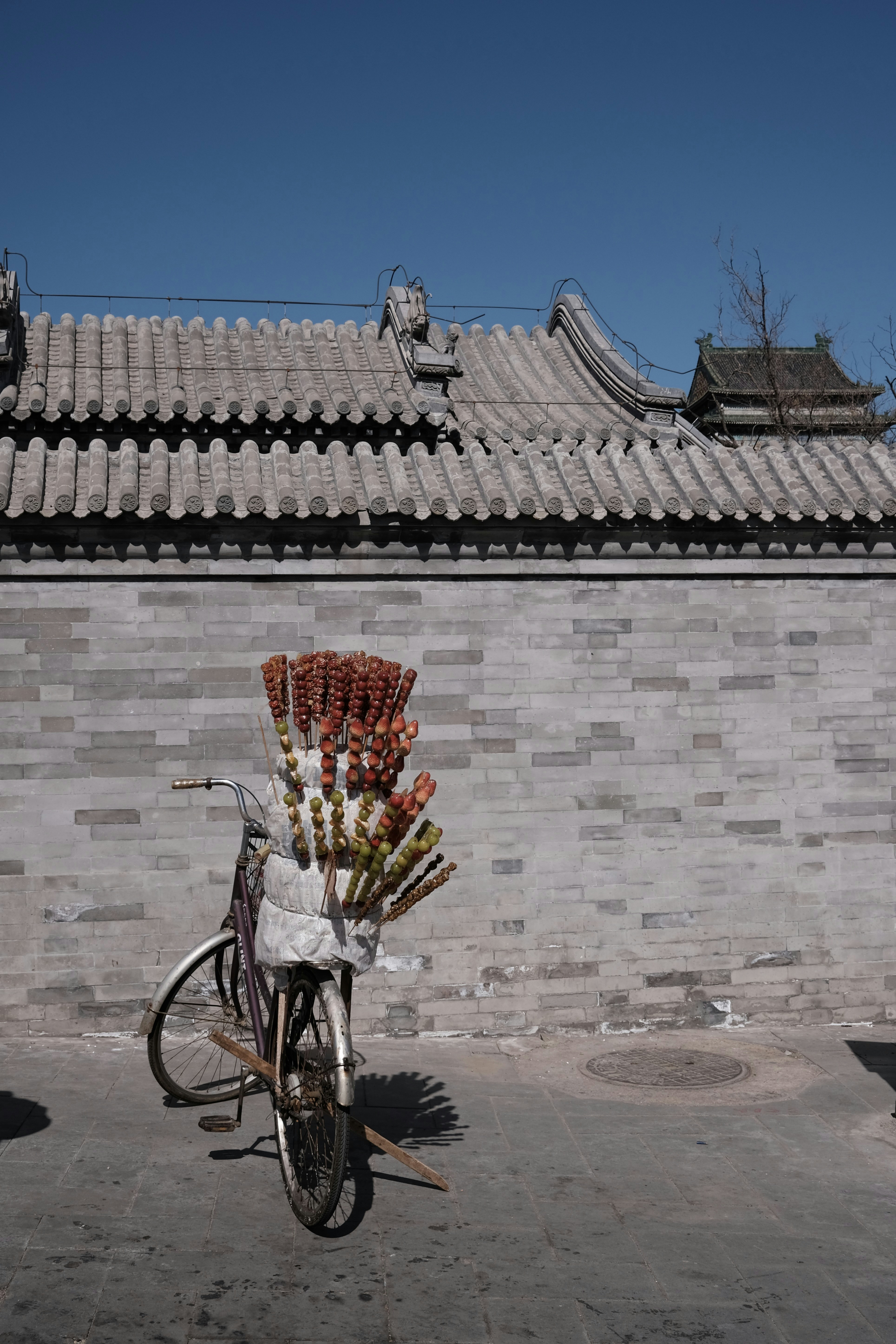 Cycle Vendor with Colorful Skewers by a Traditional Wall