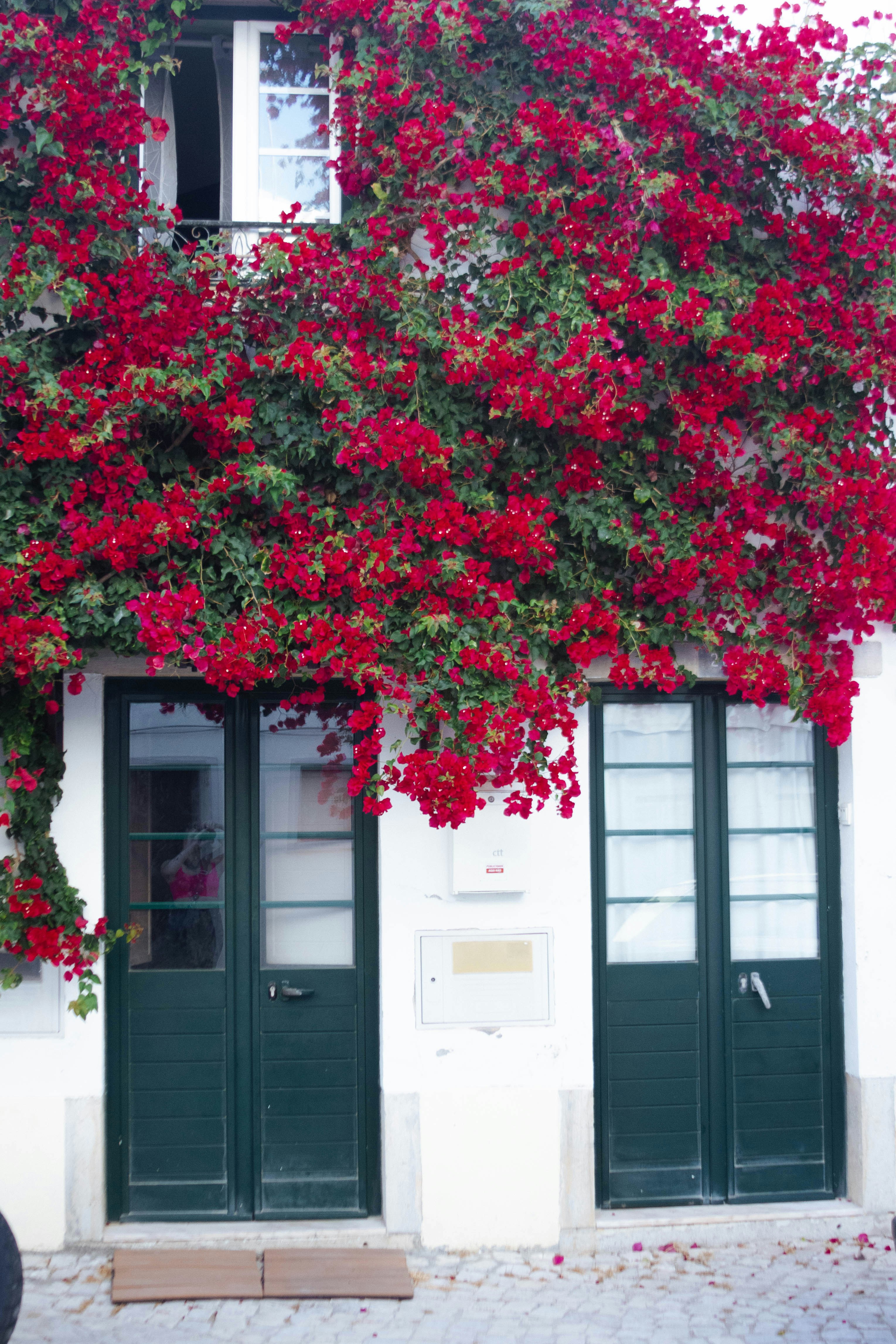 Photo by Anastasiia Mitiushova with Canon EOS 550D