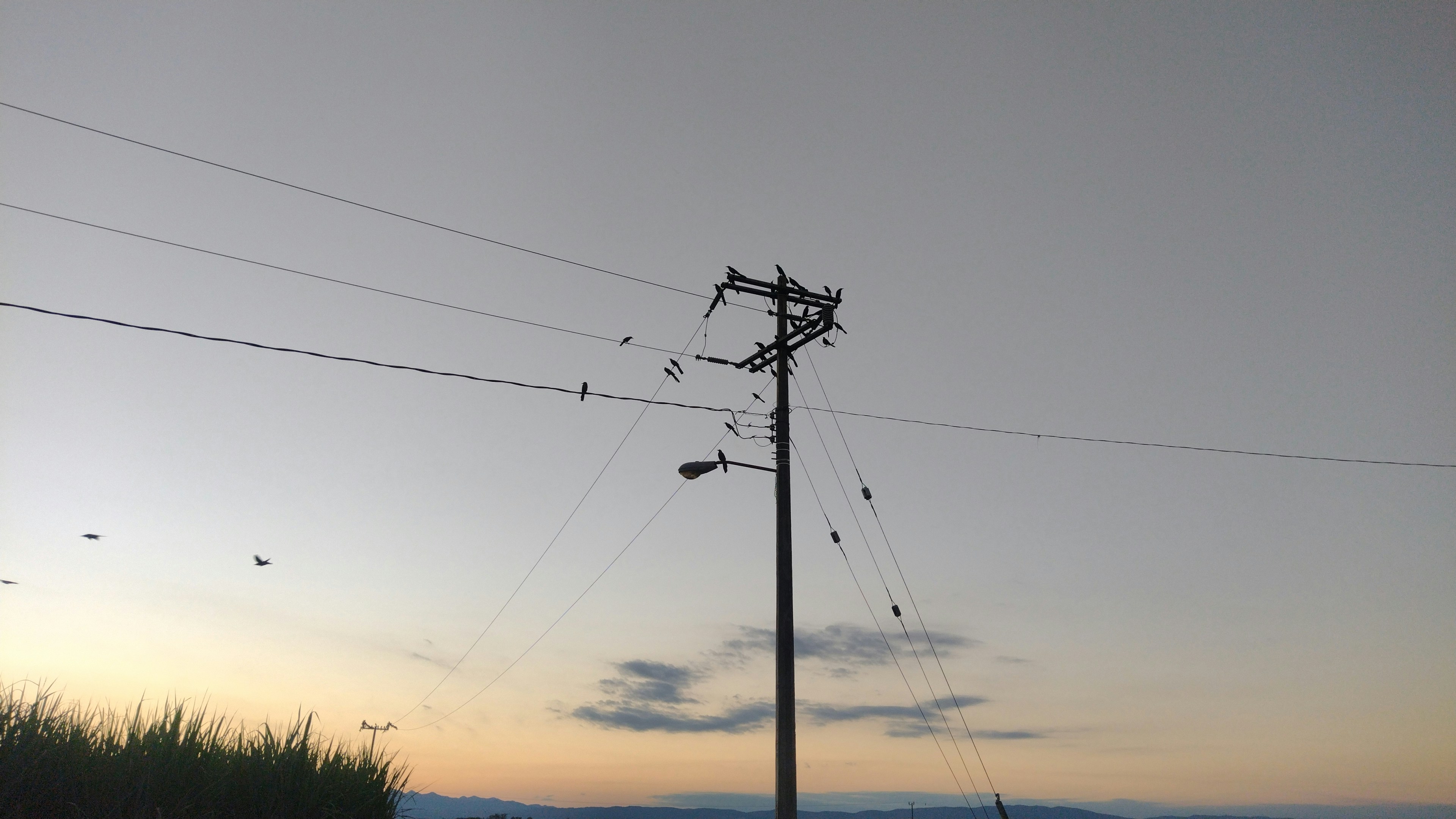 Photo by Ocasio Martin with Motorola Moto G9 Power