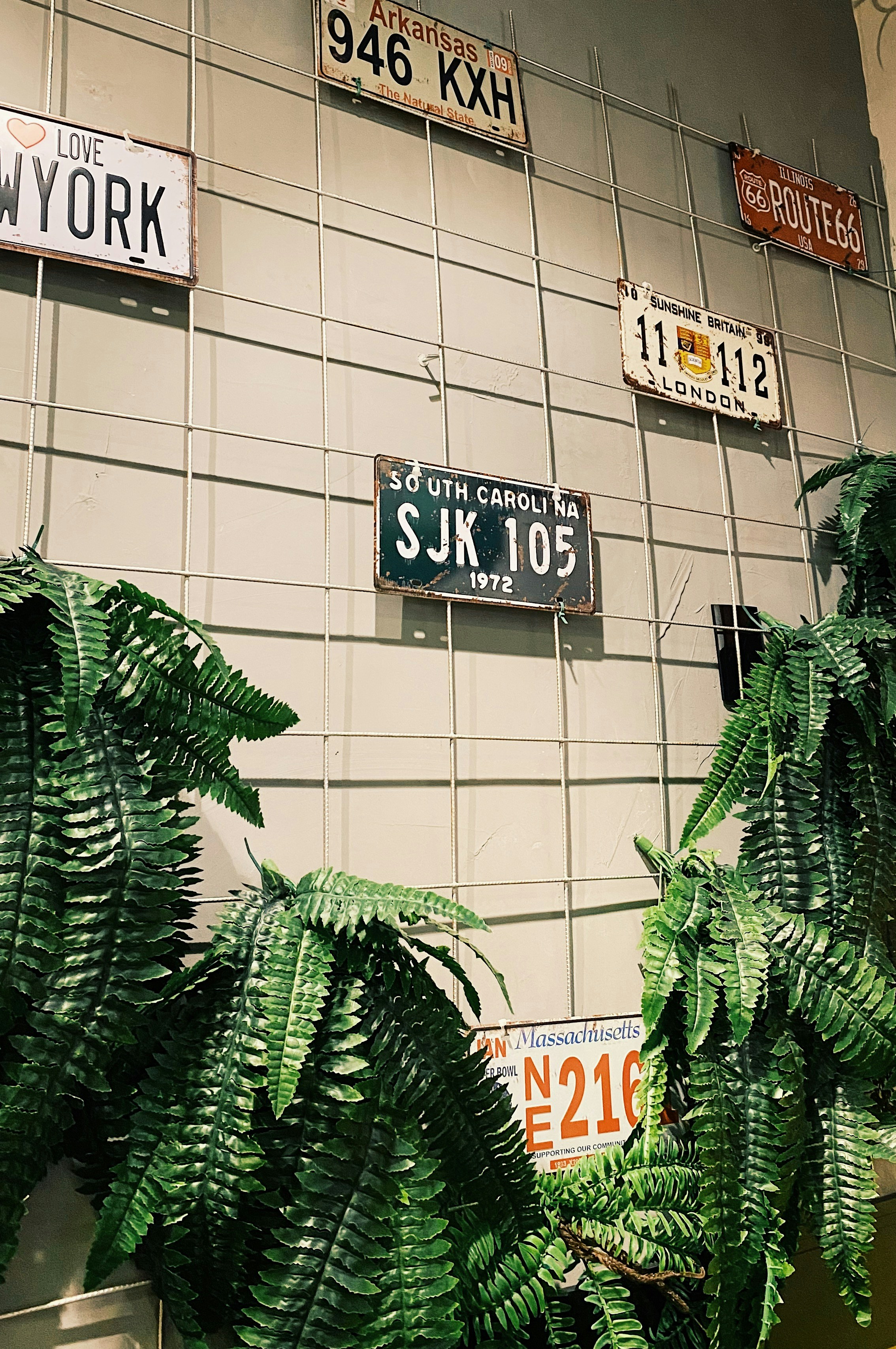 Verdant Grid Portrait: Vintage Plates Framed by Ferns