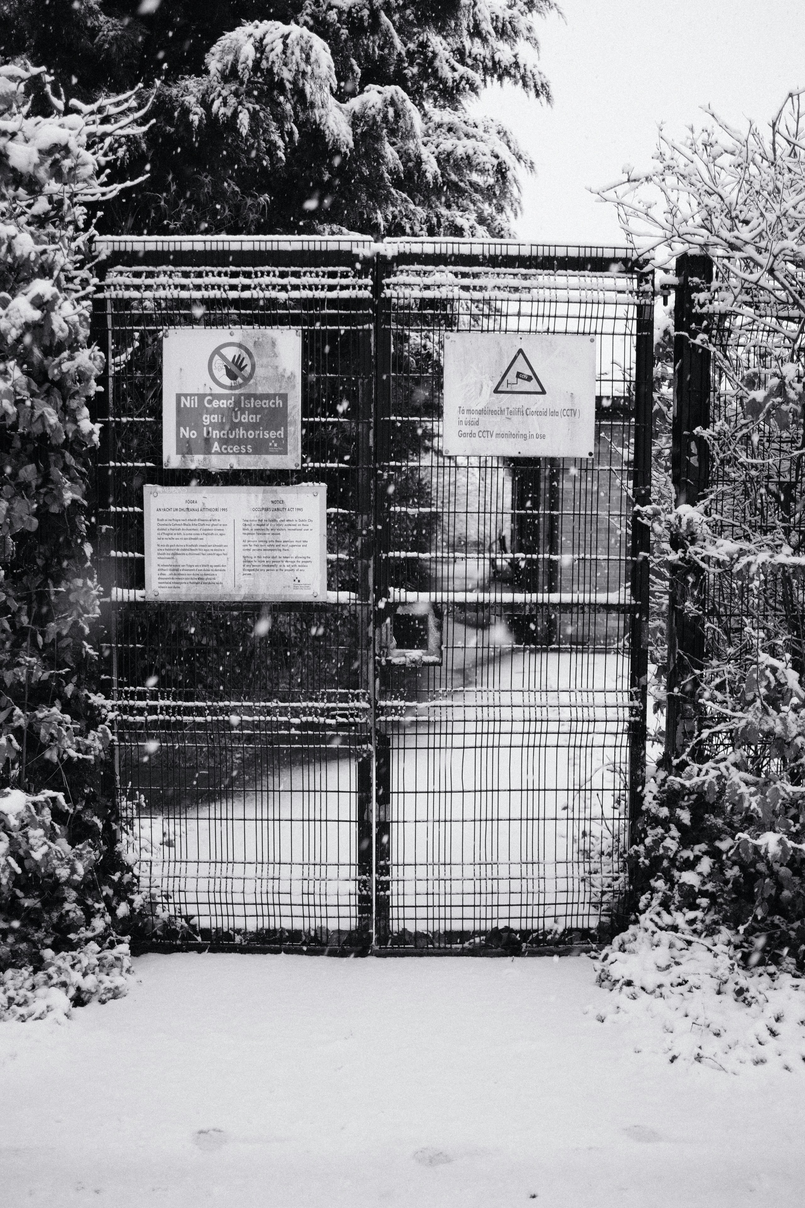 Snowbound Gatekeeper: Warning Signs Standing Watch Over a Silent Path