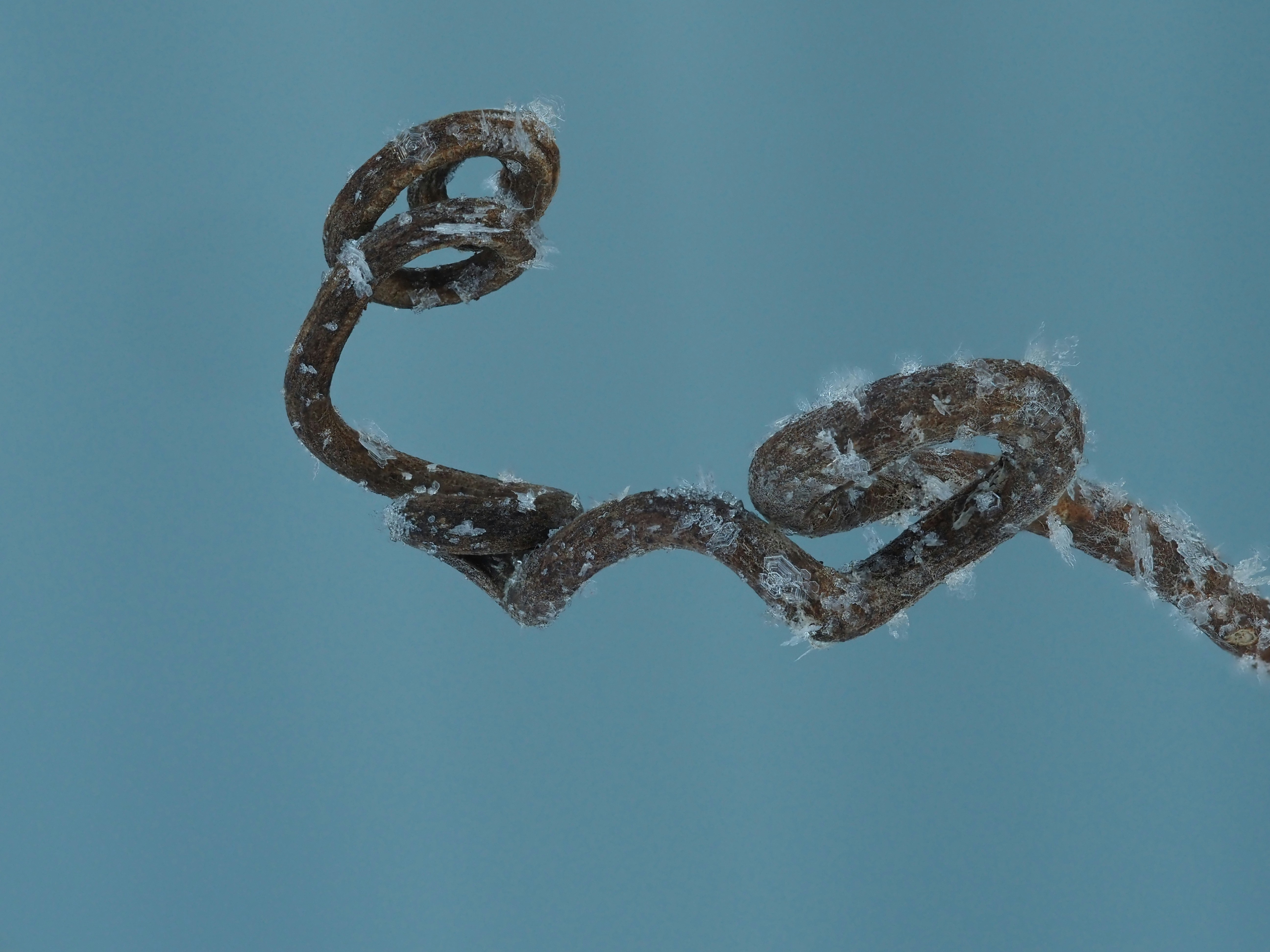 A rusted metal chain with snow on it photo – Free Background Image on ...